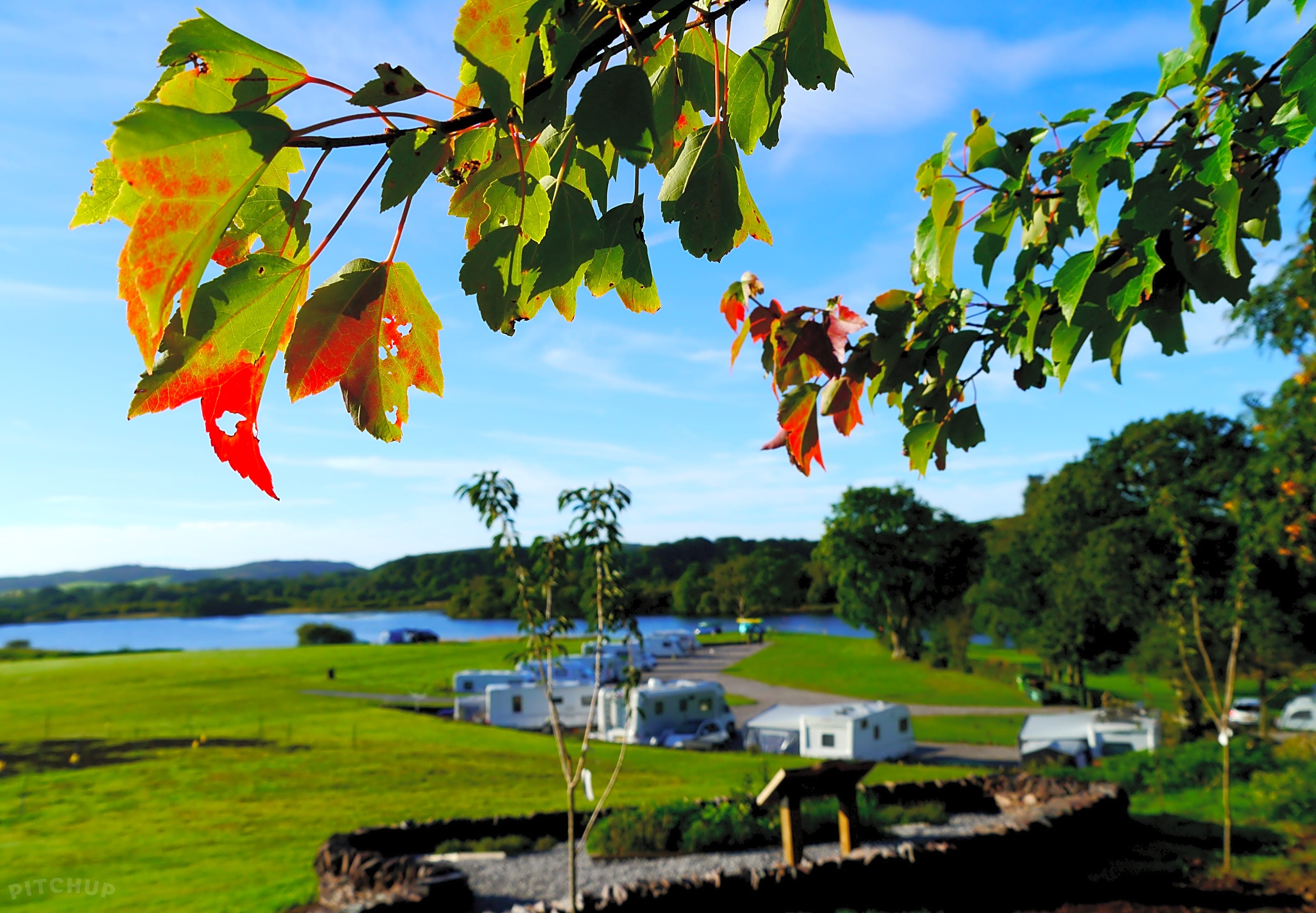 Loch Ken Holiday Park, Castle Douglas - Pitchup®