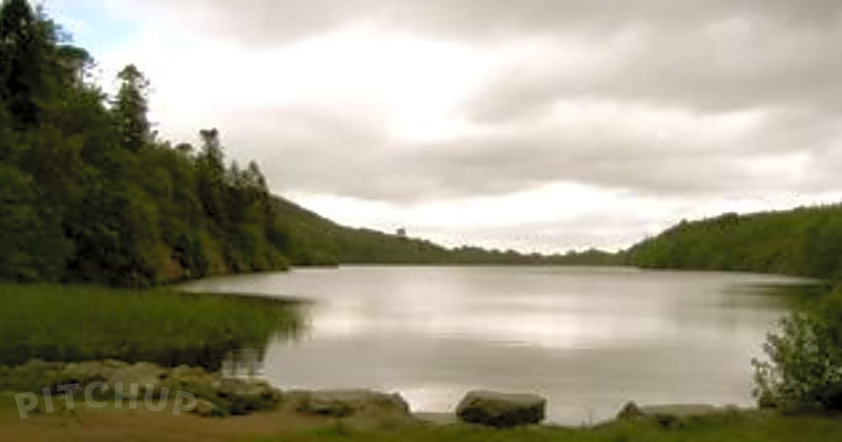 Castlewellan Forest Park, Castlewellan - Pitchup®