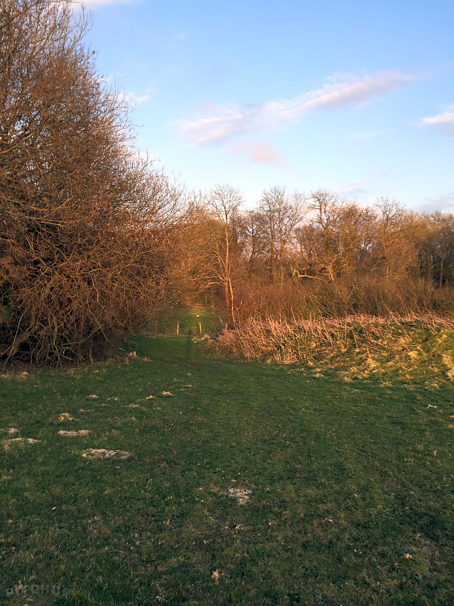 Hale Farm Campsite, Chiddingly - Updated 2020 prices - Pitchup®