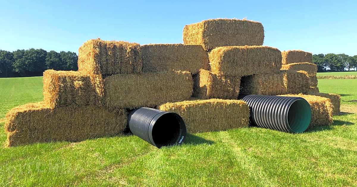 Throop Hollow Farm, Throop | Pitchup.com