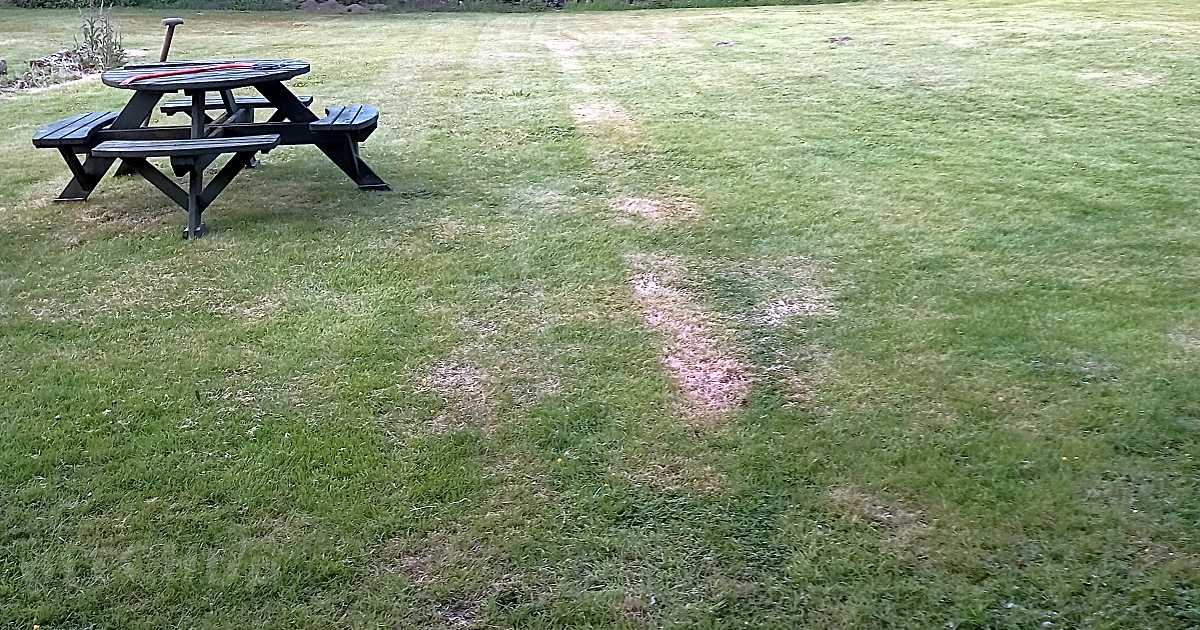 Innis Inn and Campsite, St Austell - Updated 2024 prices | Pitchup.com