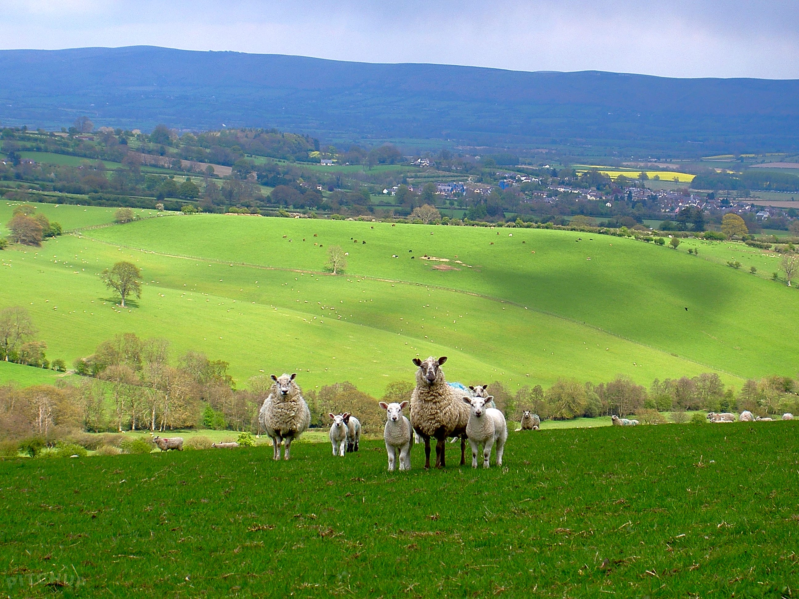 Woodbatch Camping and Glamping, Bishops Castle - Updated 2019 prices ...