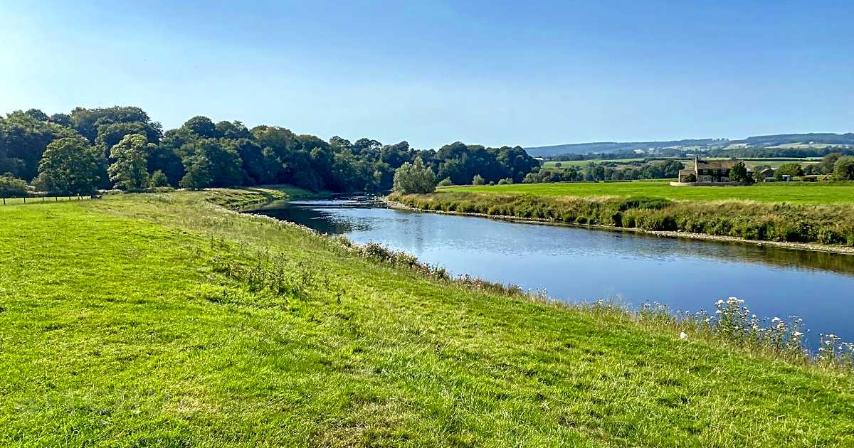 Hacking Hall Farm Camping, Clitheroe | Pitchup.com