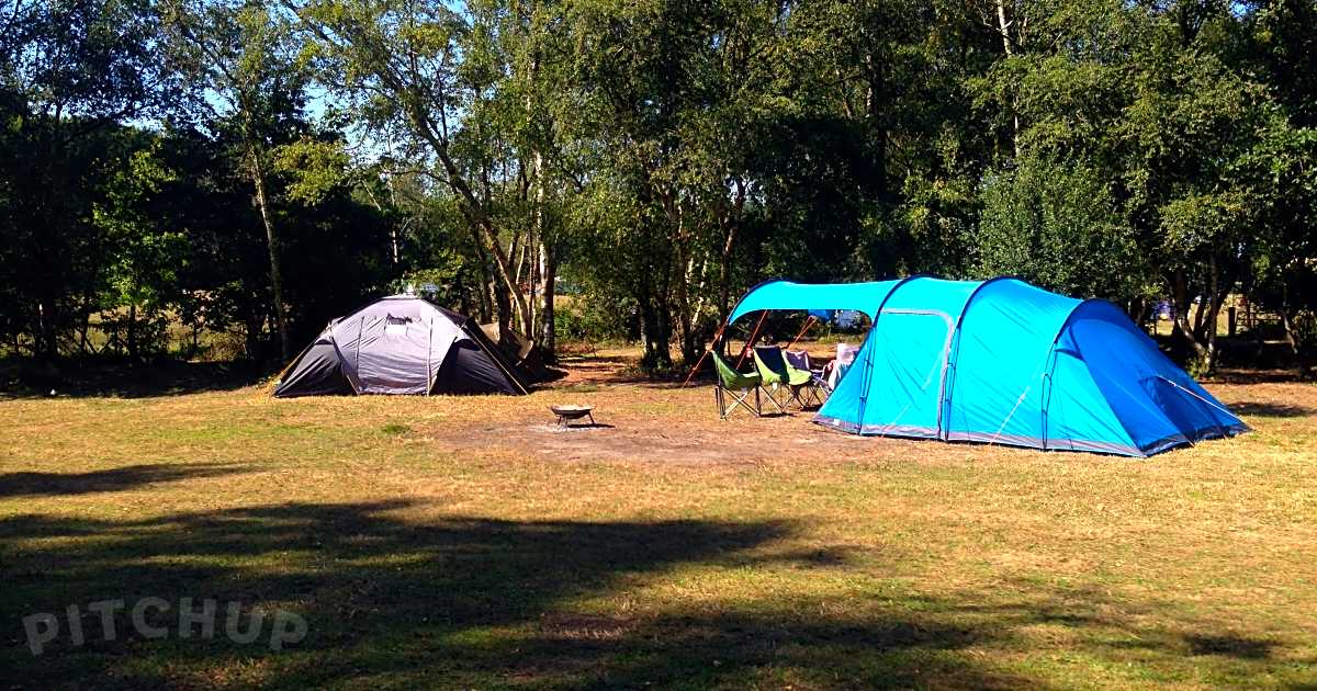 Primrose Fields, Wareham | Pitchup.com