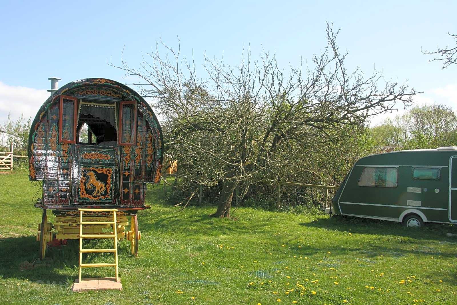 Gypsy Caravan Breaks, Langport - Pitchup®