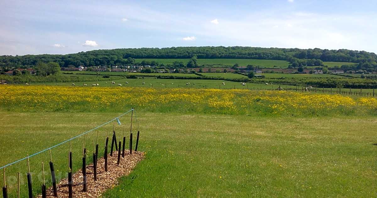 Stonebridge Farm, Weston-super-Mare | Pitchup.com
