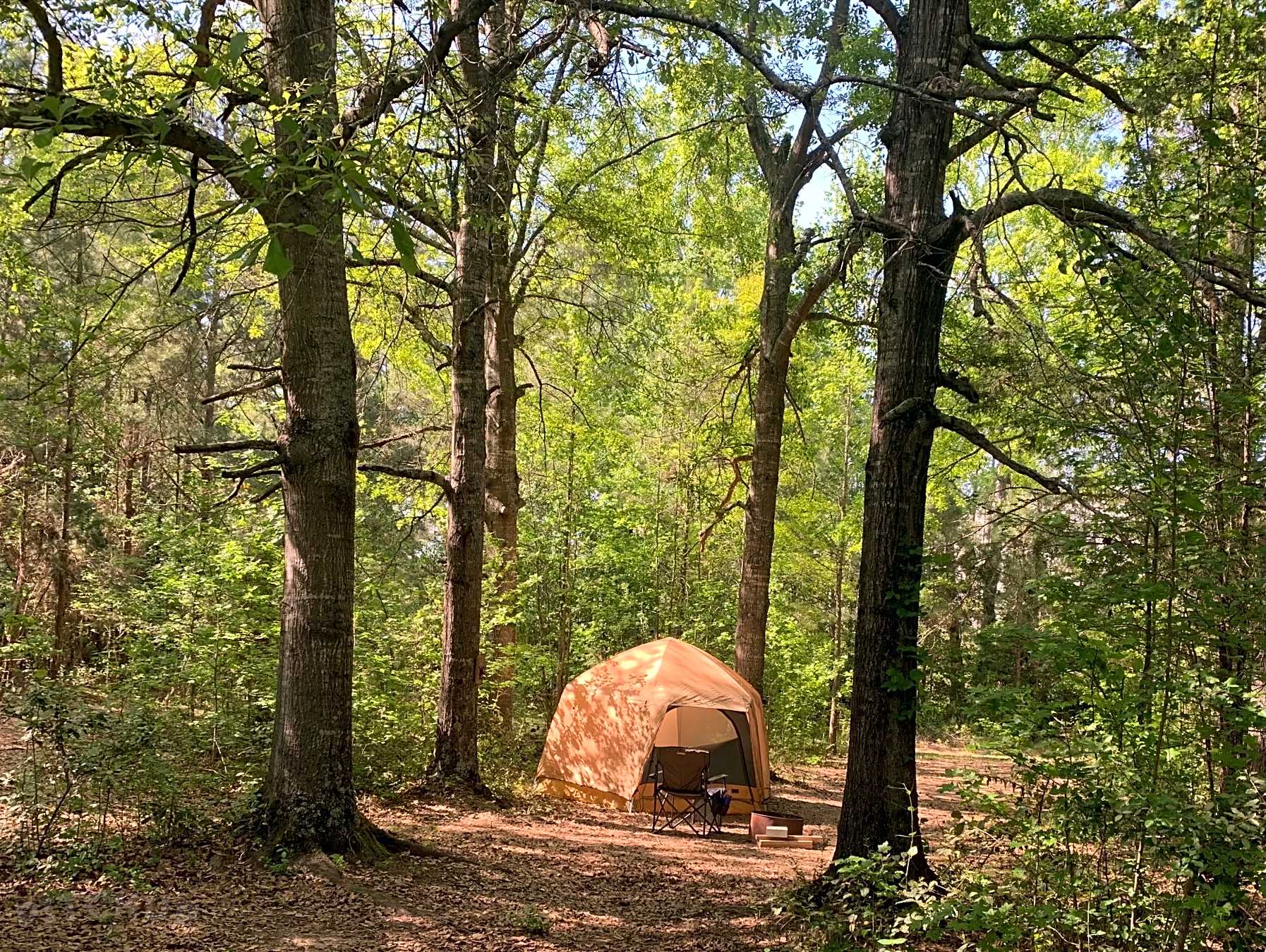 Find Tent Campgrounds in USA 2022 from $10/nt - Pitchup