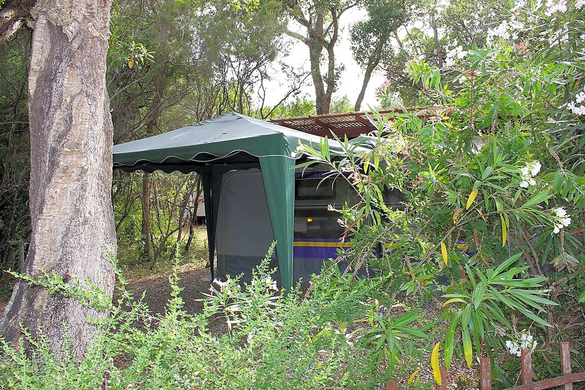 Camping Naturiste Corsica Natura, Linguizzetta, Haute-Corse | Pitchup.com