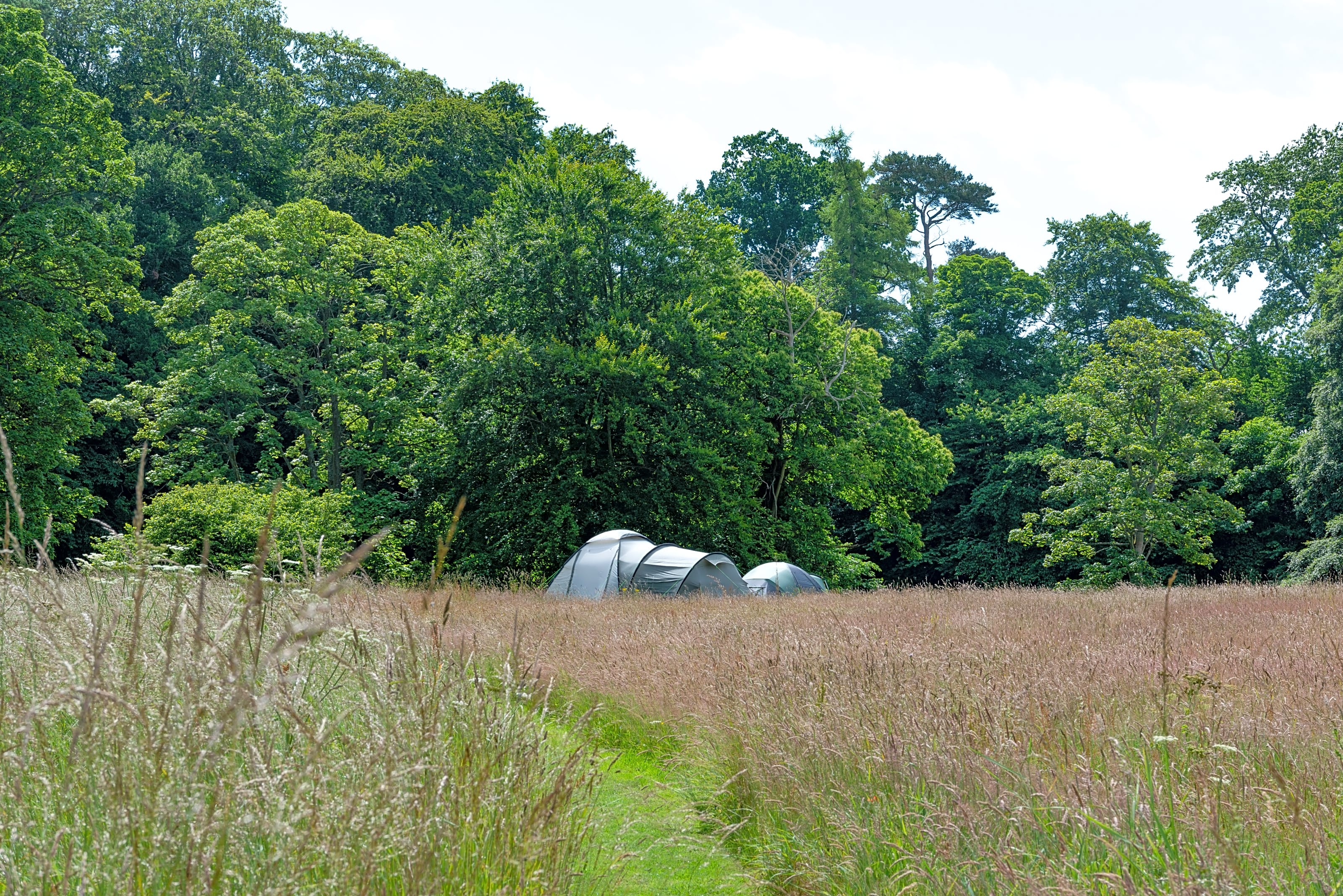 Walkmill Campsite, Walkworth, Northumberland - Updated 2026 prices ...