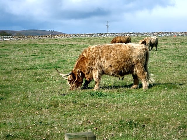 Inver Caravan Park, Dunbeath, Highlands and Islands - Updated 2025 ...