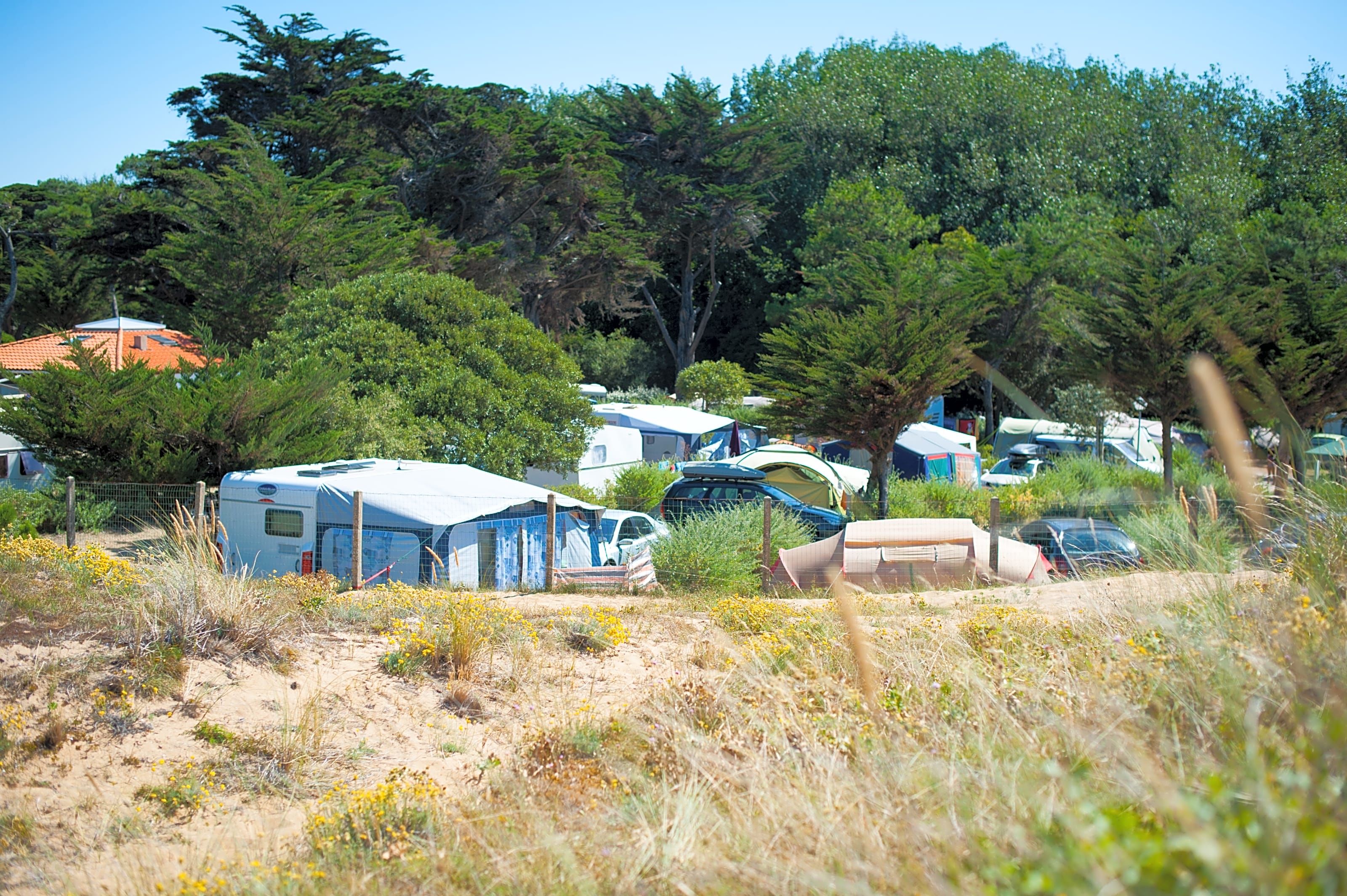 Camping Les Cyprès, Saint Gilles Croix de Vie, Vendée | Pitchup.com