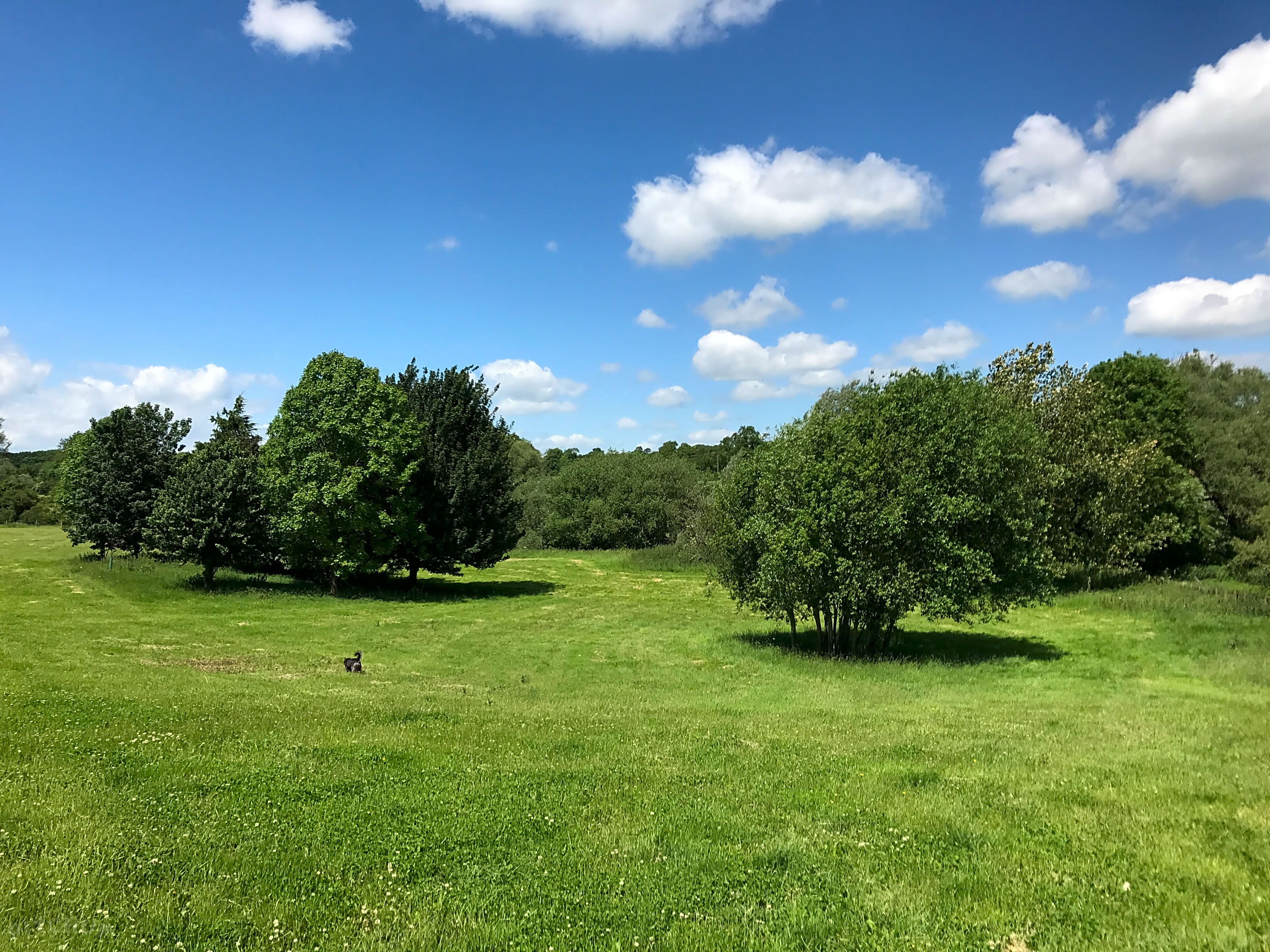 Cuckoo Farm Campsite, Oakham, Rutland - Updated 2026 prices | Pitchup.com