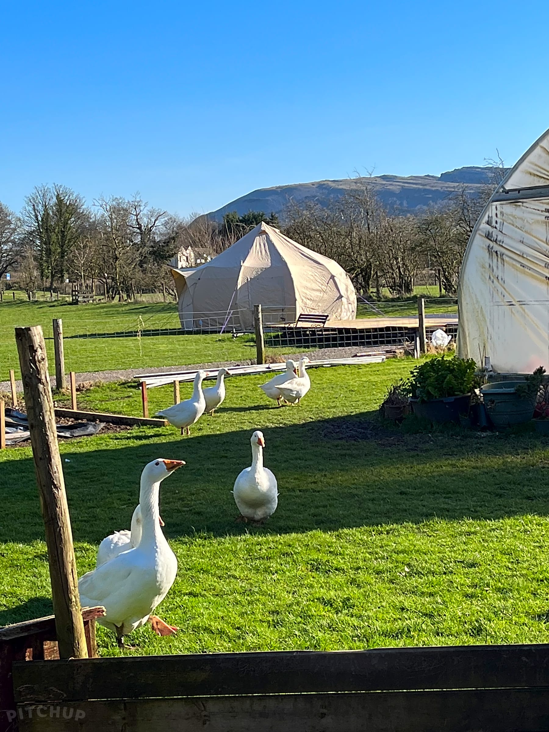 Holme Meadow Camping, Holme, Cumbria - Updated 2024 prices | Pitchup.com