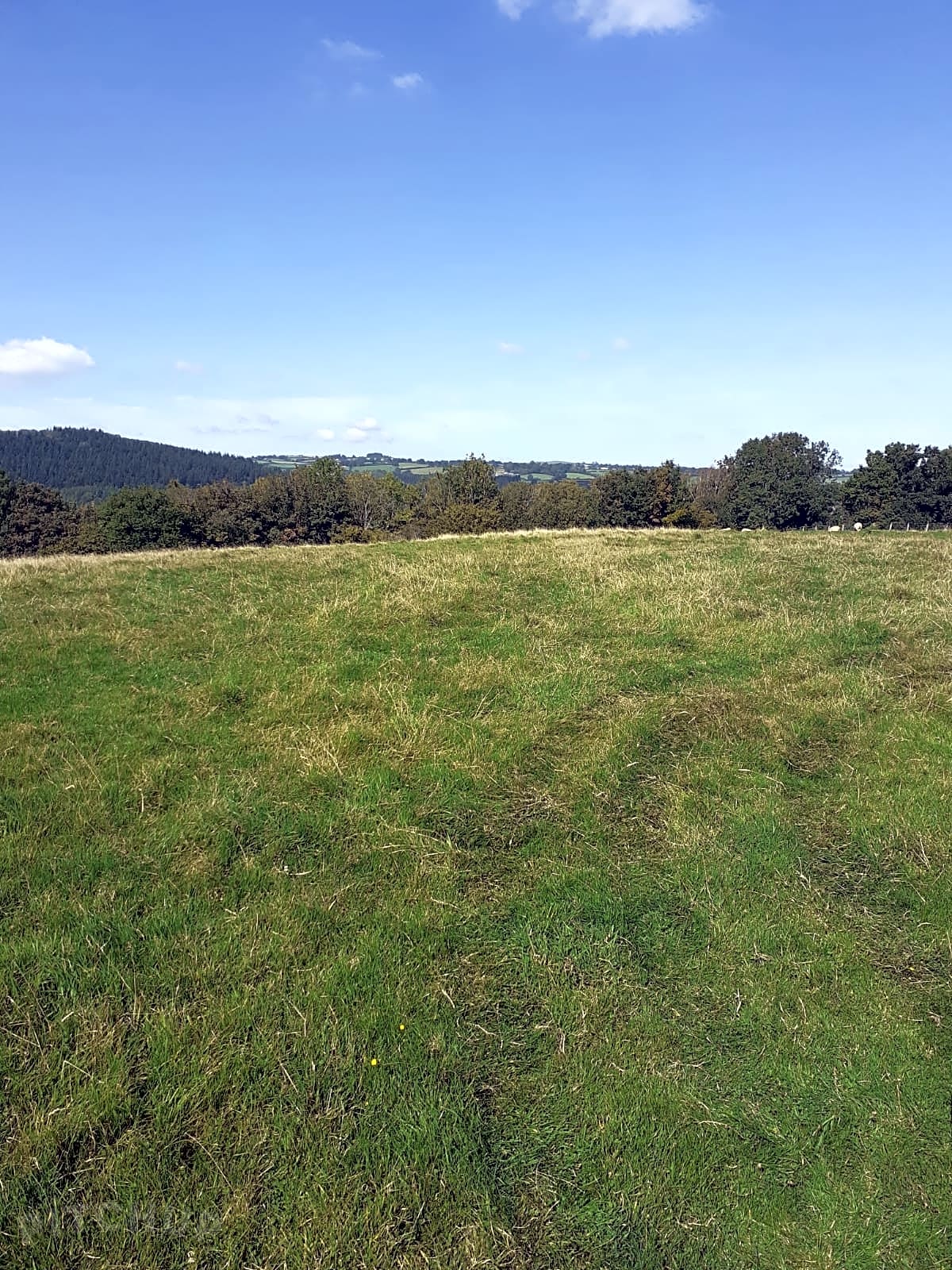 Gypsy Castle Camping, Hay-on-Wye, Powys - Updated 2026 prices | Pitchup.com