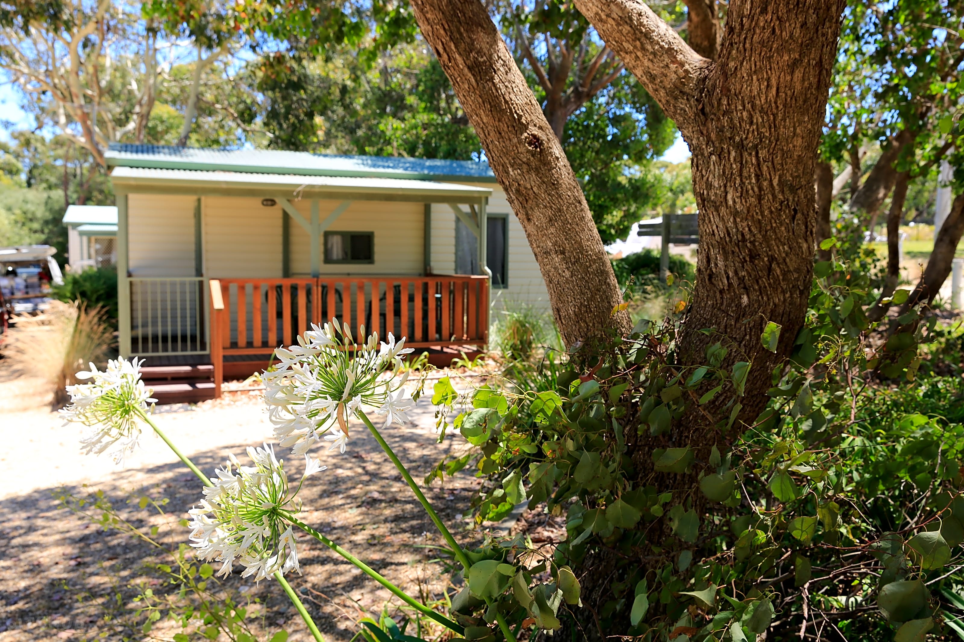 Lakes Beachfront Holiday Park, Lake Tyers Beach, Gippsland | Pitchup.com