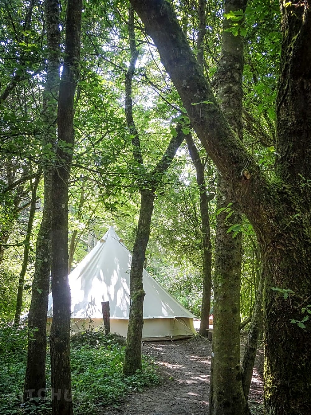 Stanbridge Farm, Petersfield, Hampshire | Pitchup.com