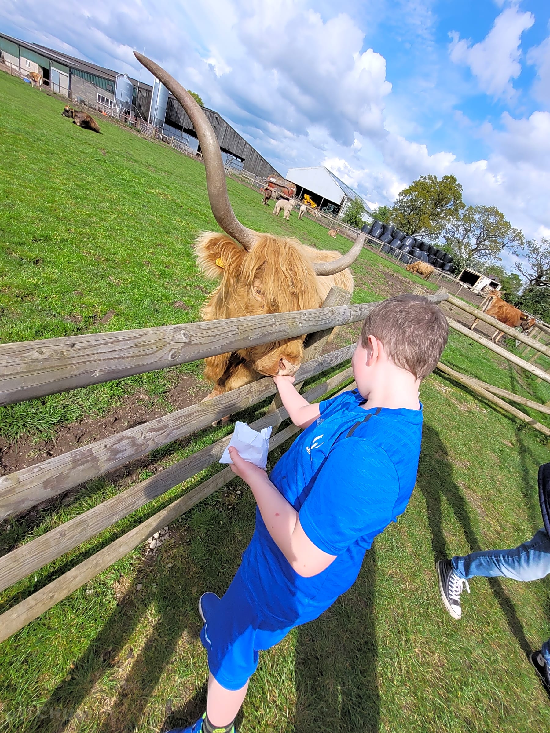 Red Lion Farm Touring Caravan Park, Stafford, Staffordshire | Pitchup.com