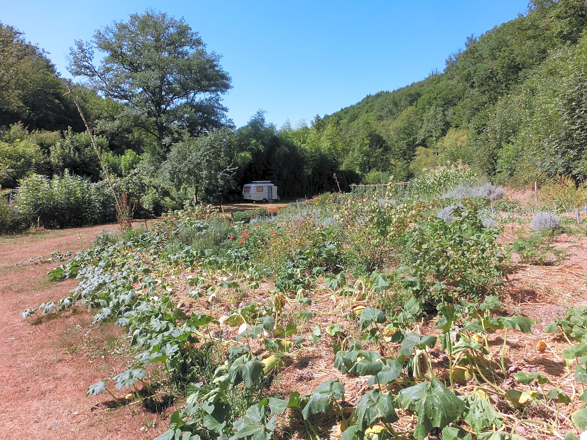 Camping Moulin de Liort, La Salvetat-Peyralès, Aveyron | Pitchup.com