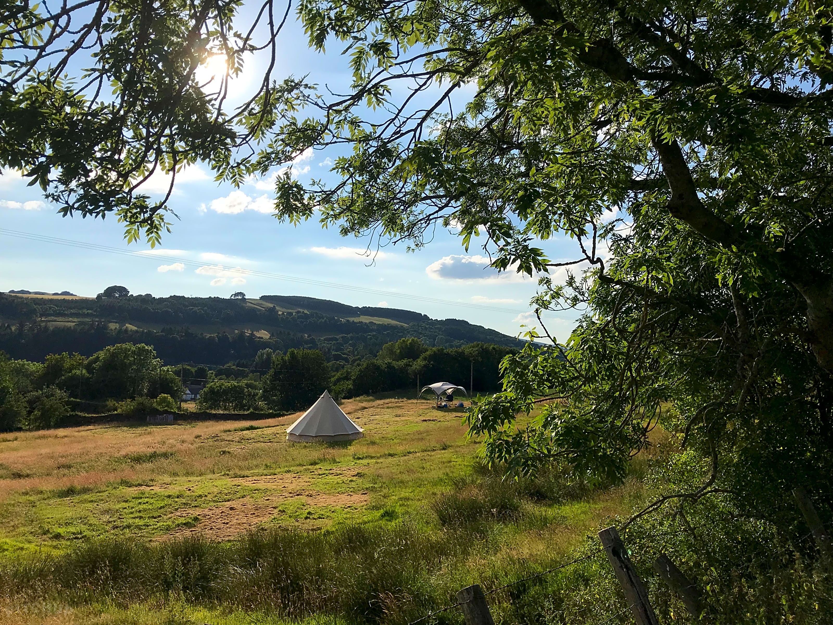 Open Gate Campsite, Dumfries and Galloway - Pitchup®
