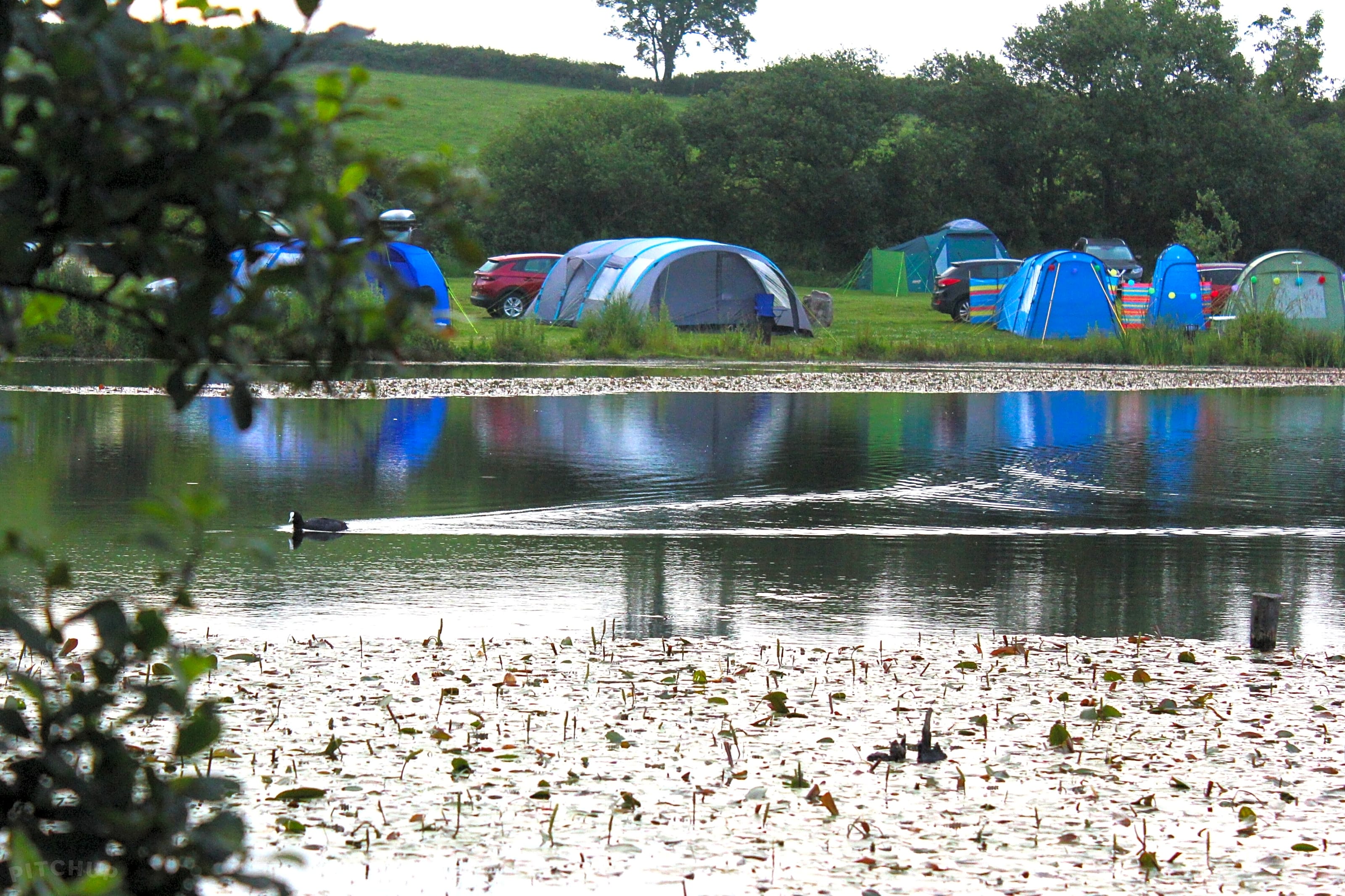 Carn Springs, Tenby - Updated 2020 prices - Pitchup®