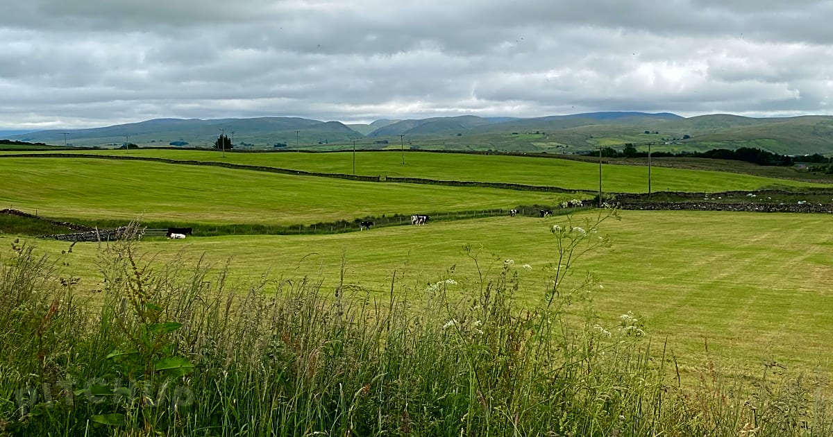Moor House Farm Camping, Orton - Pitchup®