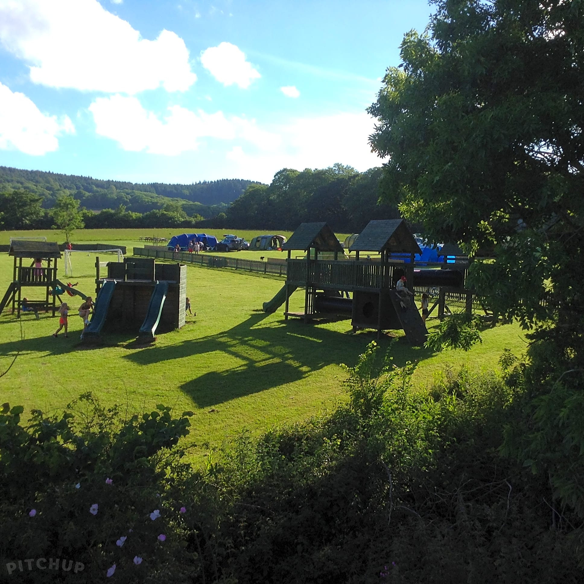 Haldon Forest Holiday Park, Exeter - Updated 2021 prices - Pitchup®