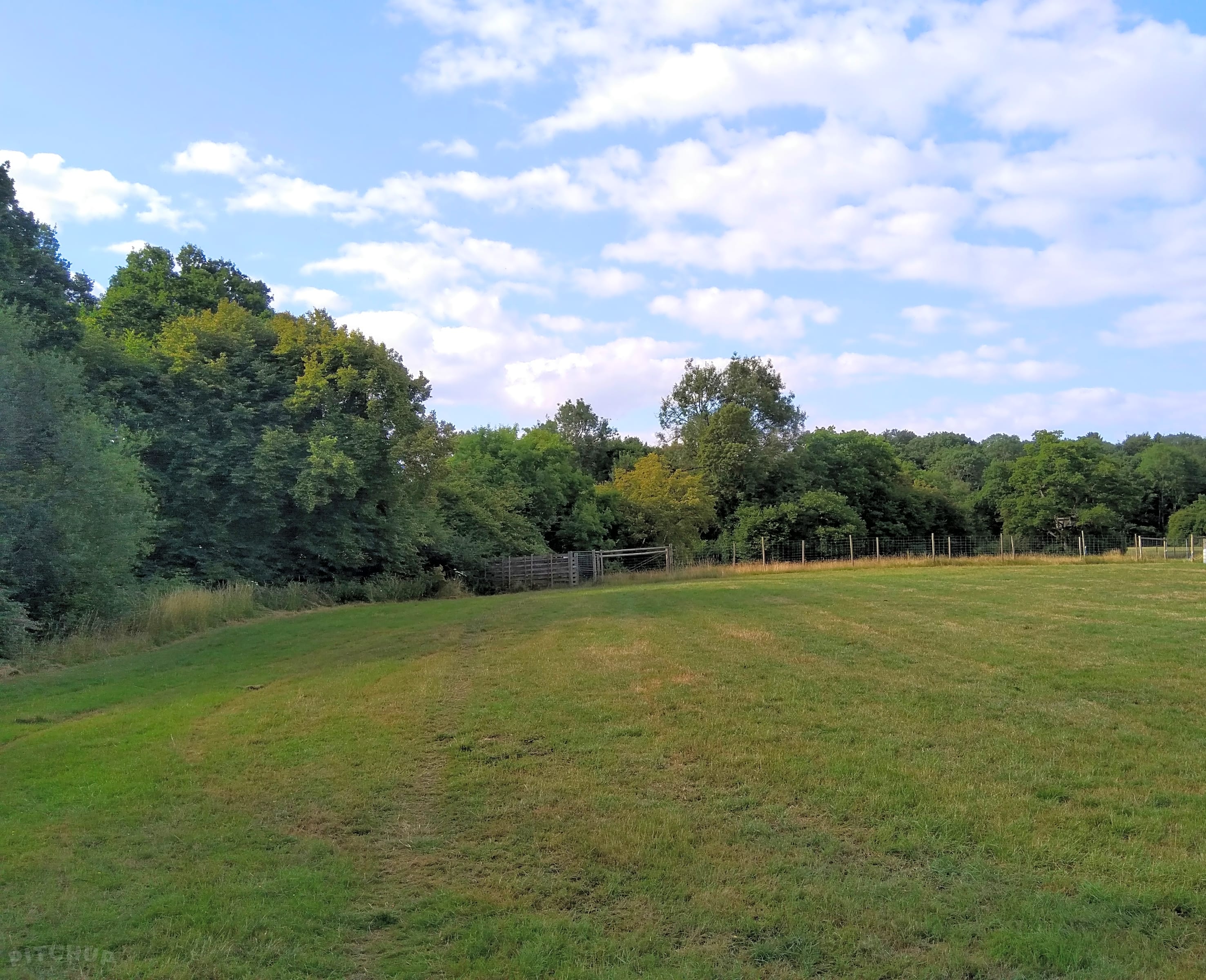 Maplehurst Farm, Maplehurst - Pitchup®