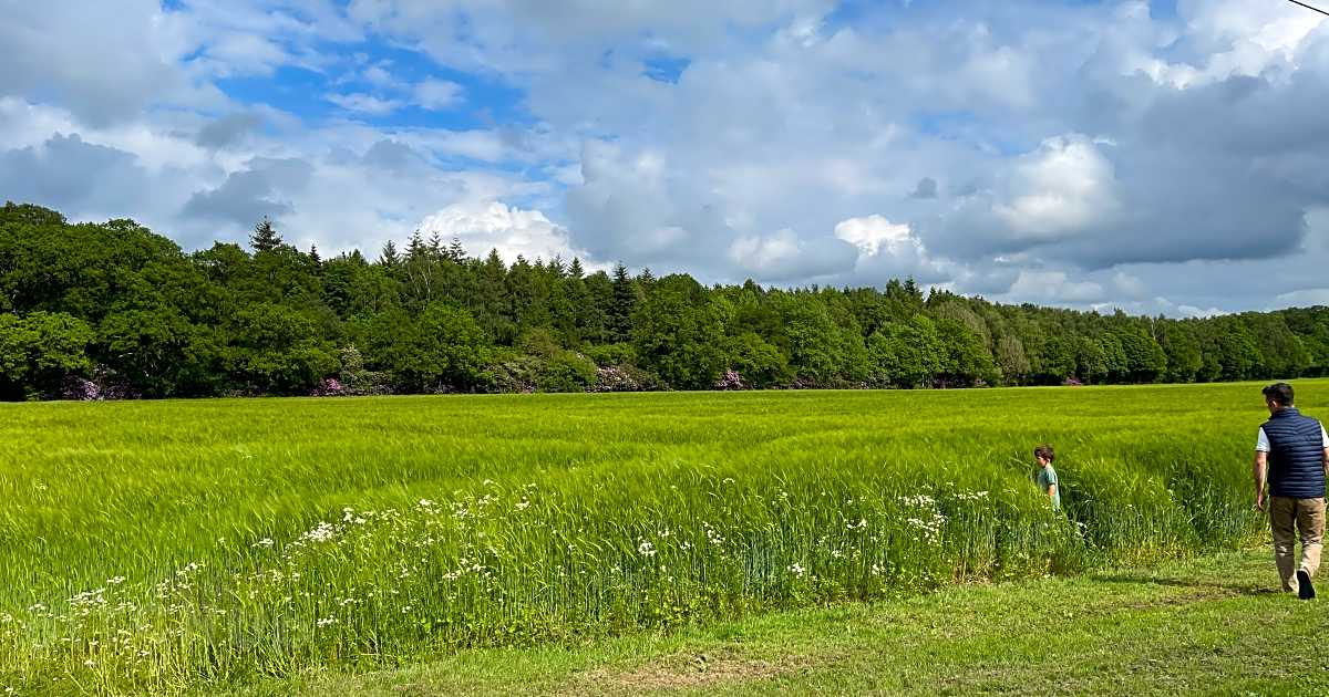 Beech Farm, York | Pitchup.com