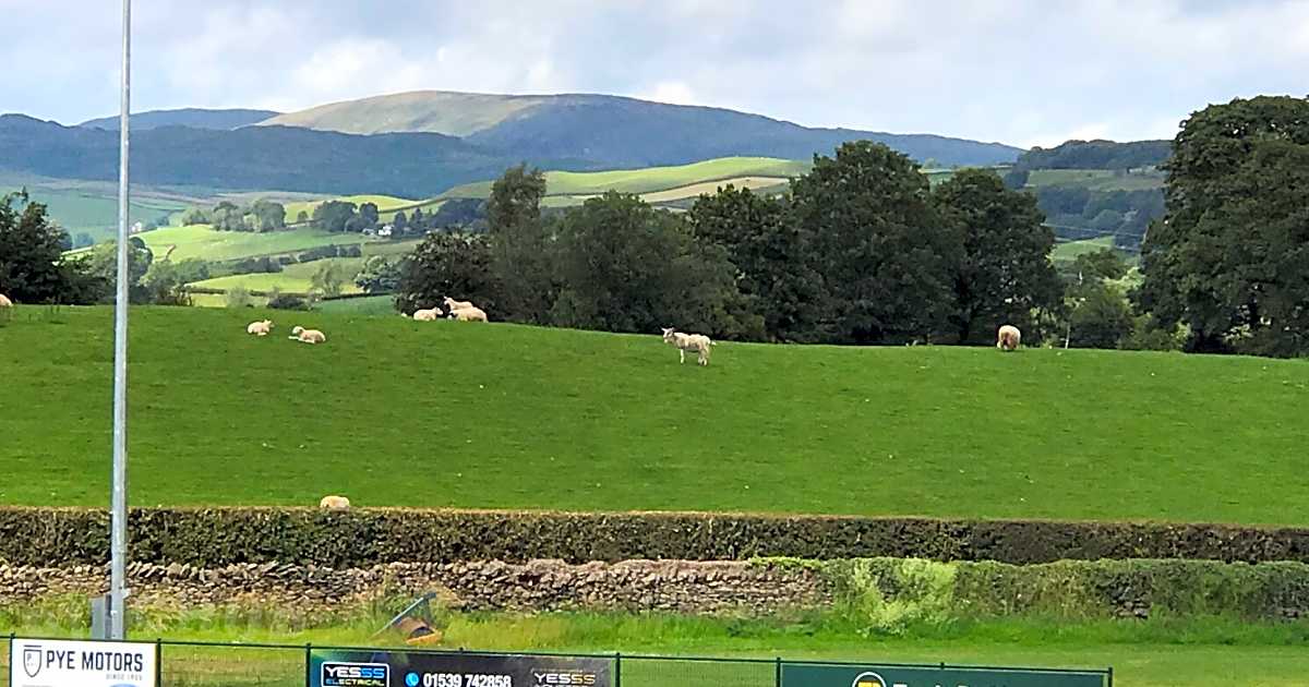 Kendal Rugby Club, Kendal | Pitchup.com