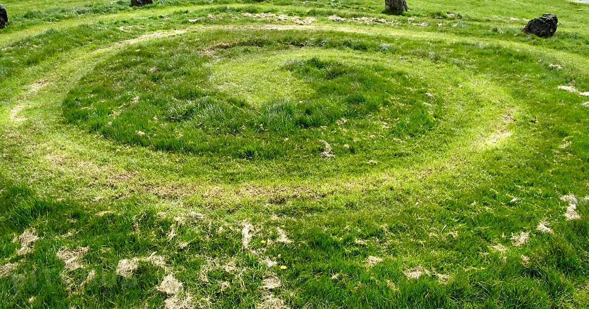 Pitton Cross Caravan and Camping Park, Swansea - Pitchup®