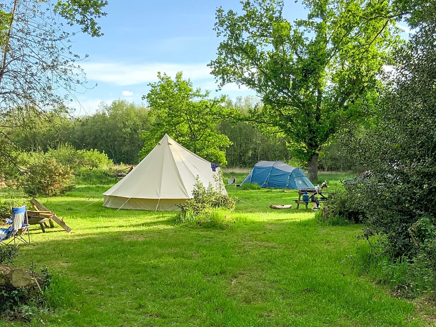 63 Campsites in The New Forest 2024 from £10/nt | Pitchup.com