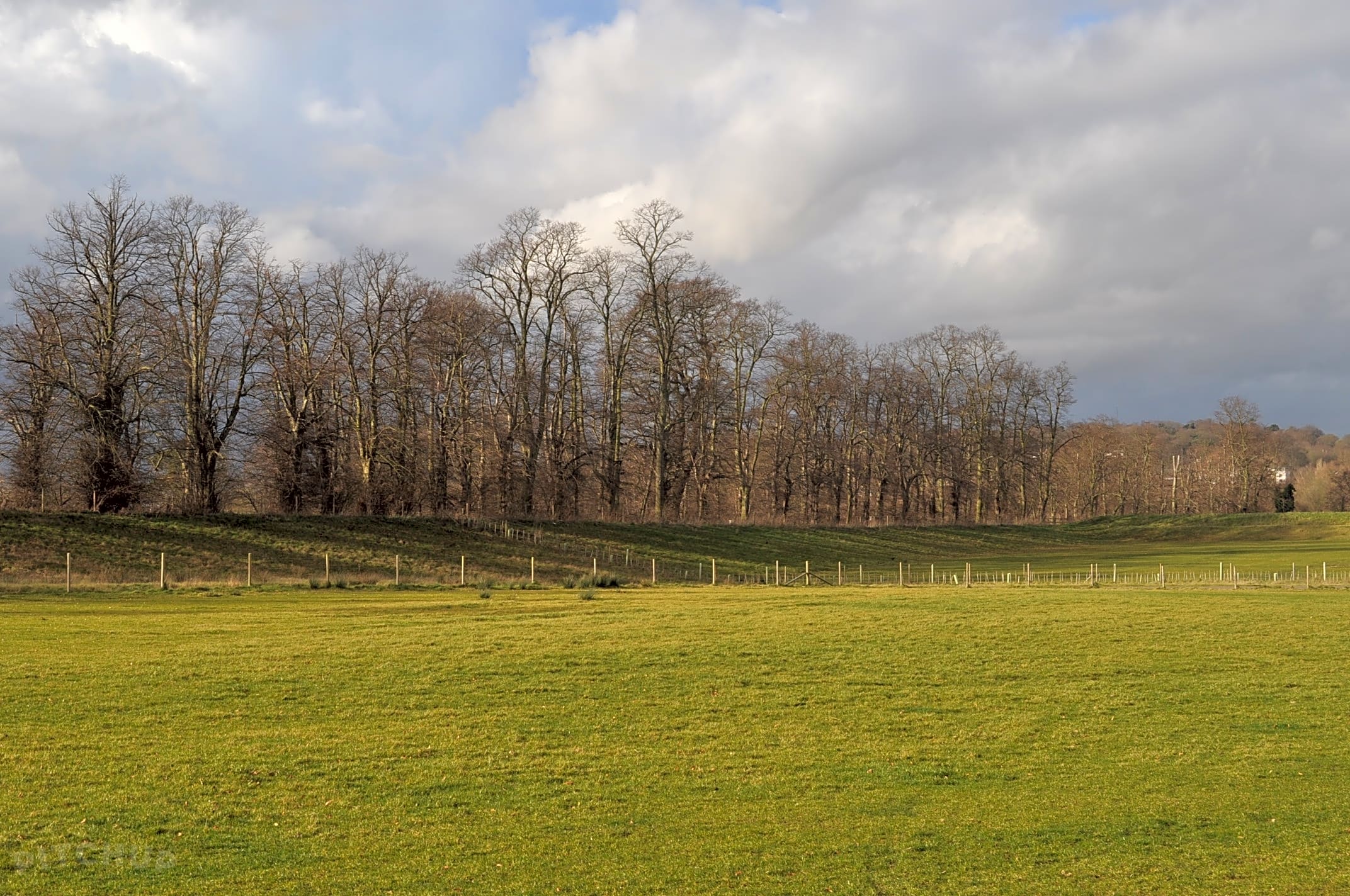 Whitlingham Broad Campsite, Norwich - Updated 2019 prices - Pitchup®