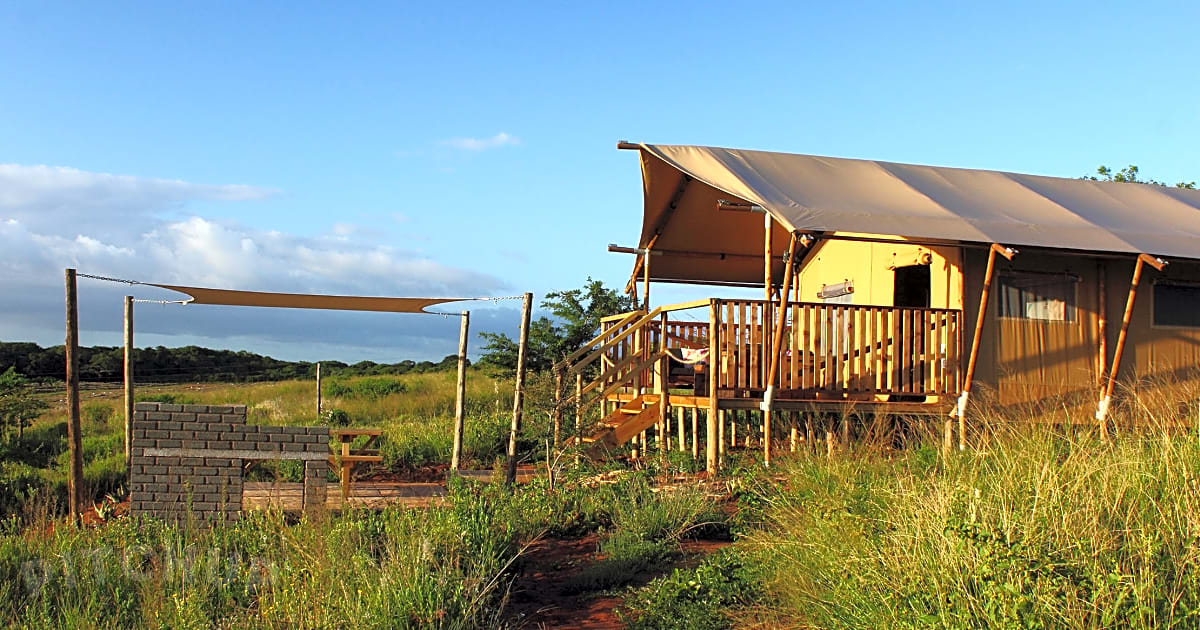 Hluhluwe Bush Camp, Hluhluwe - Updated 2021 prices - Pitchup®