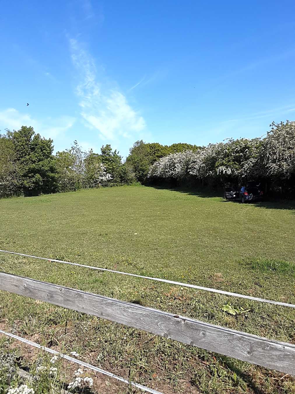 Find Cheap Tent Camping Sites in Waxham, Norfolk - Pitchup®