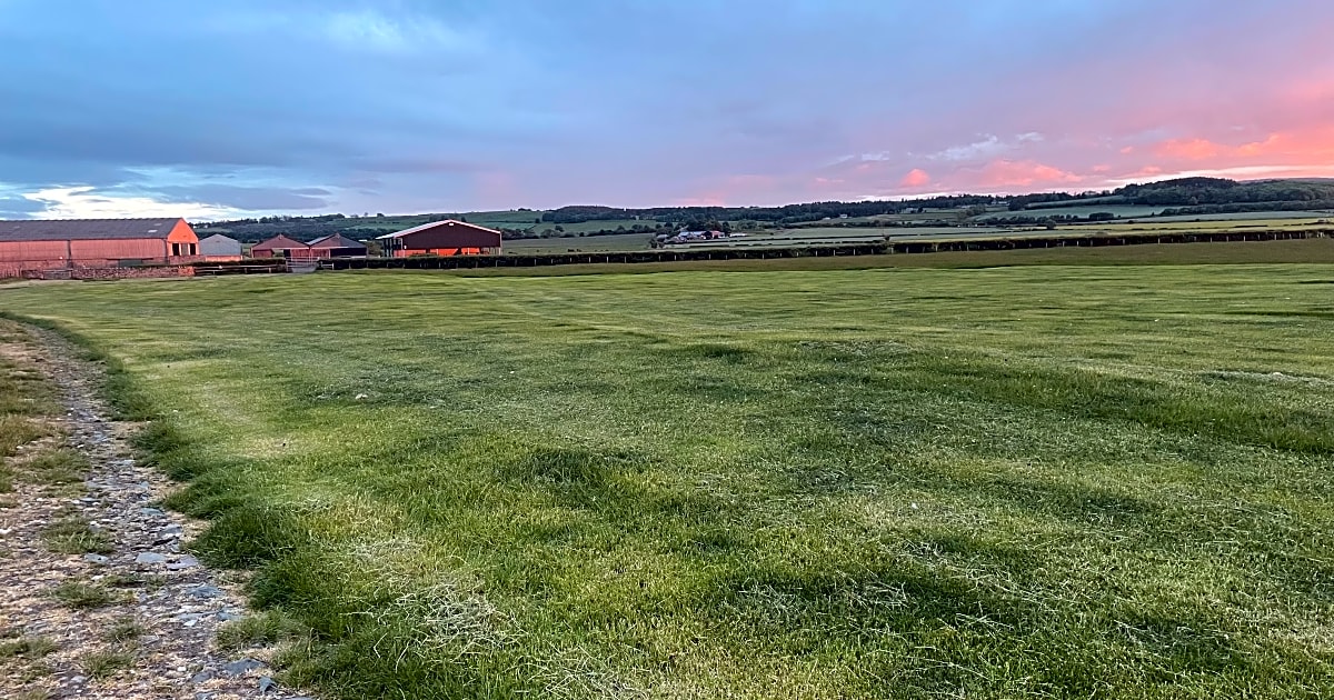 Elwick Campsite, Elwick - Updated 2021 prices - Pitchup®
