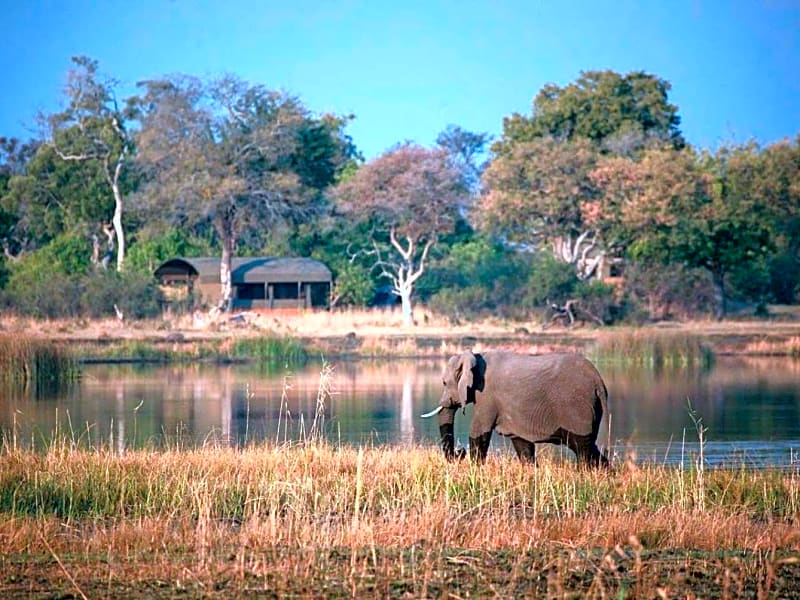 Ngandu Safari Lodge, Rundu - Prezzi aggiornati per il 2019 - Pitchup®