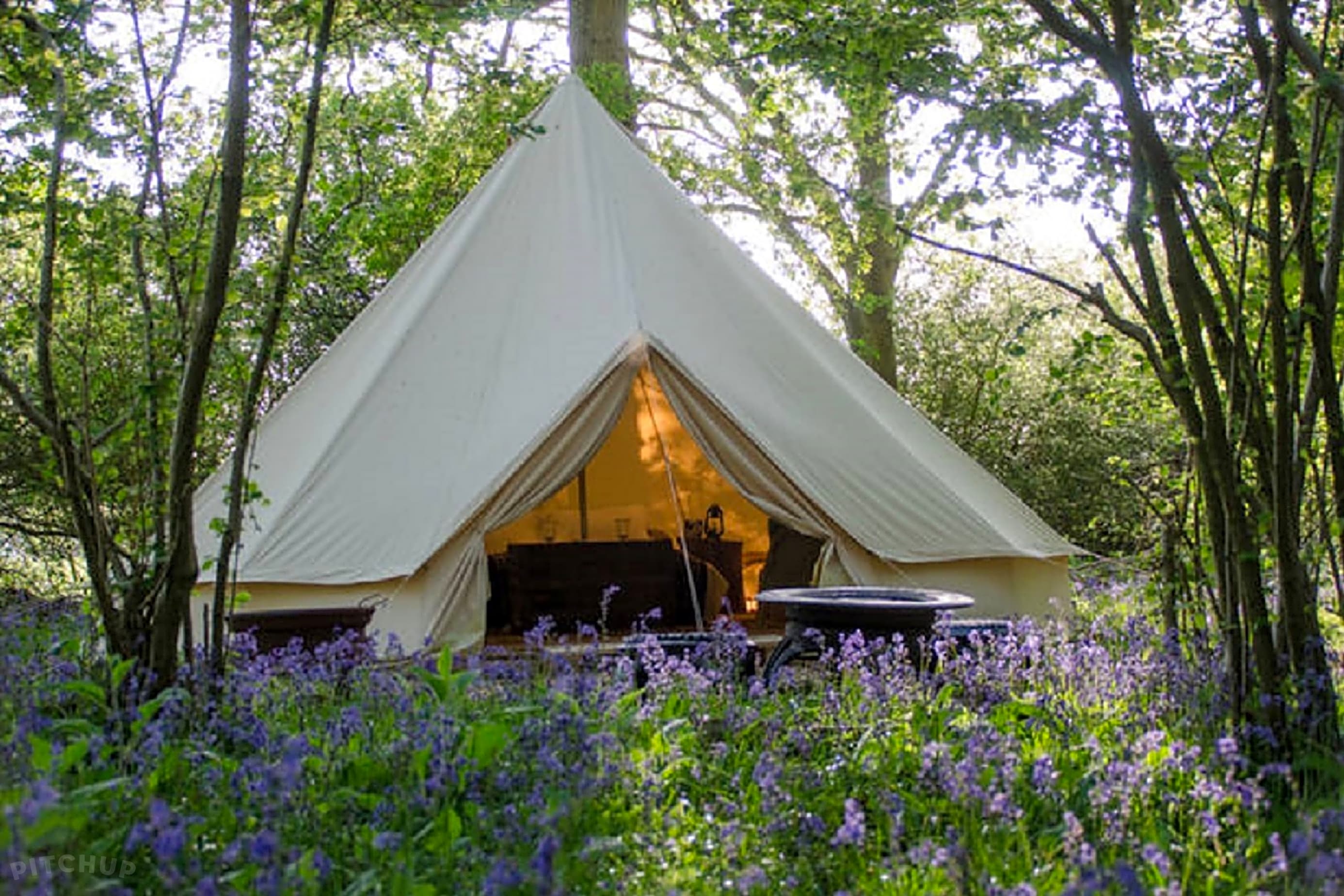 Oak Tree Farm Glamping, Carmarthen - Precios actualizados de 2020 ...