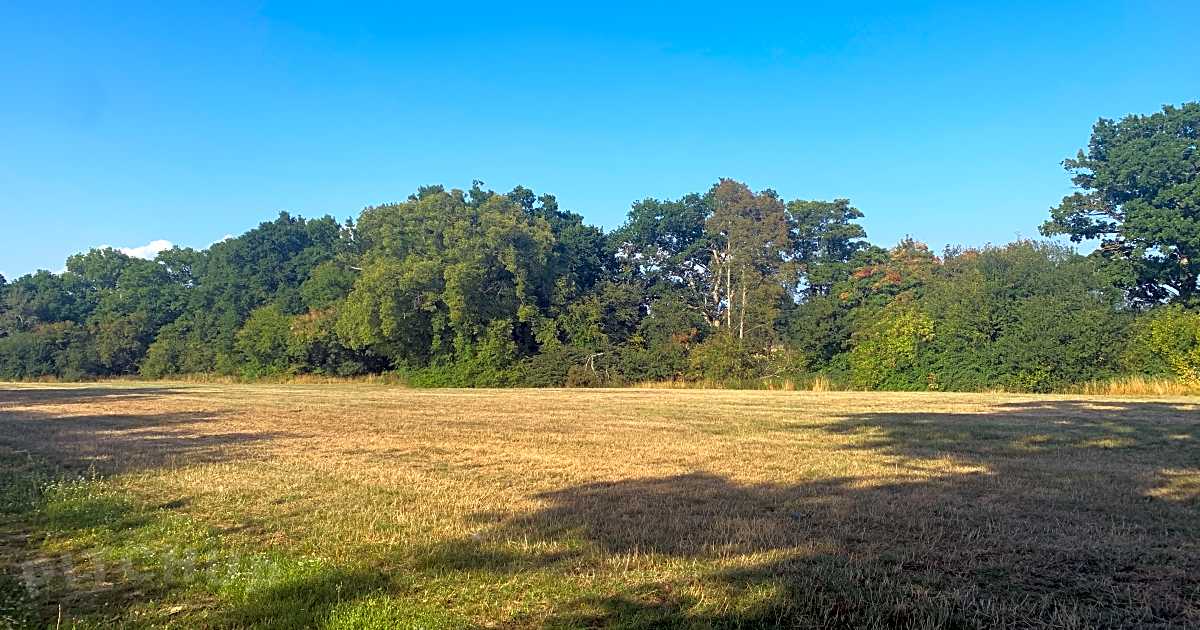 Maplehurst Farm, Maplehurst | Pitchup.com