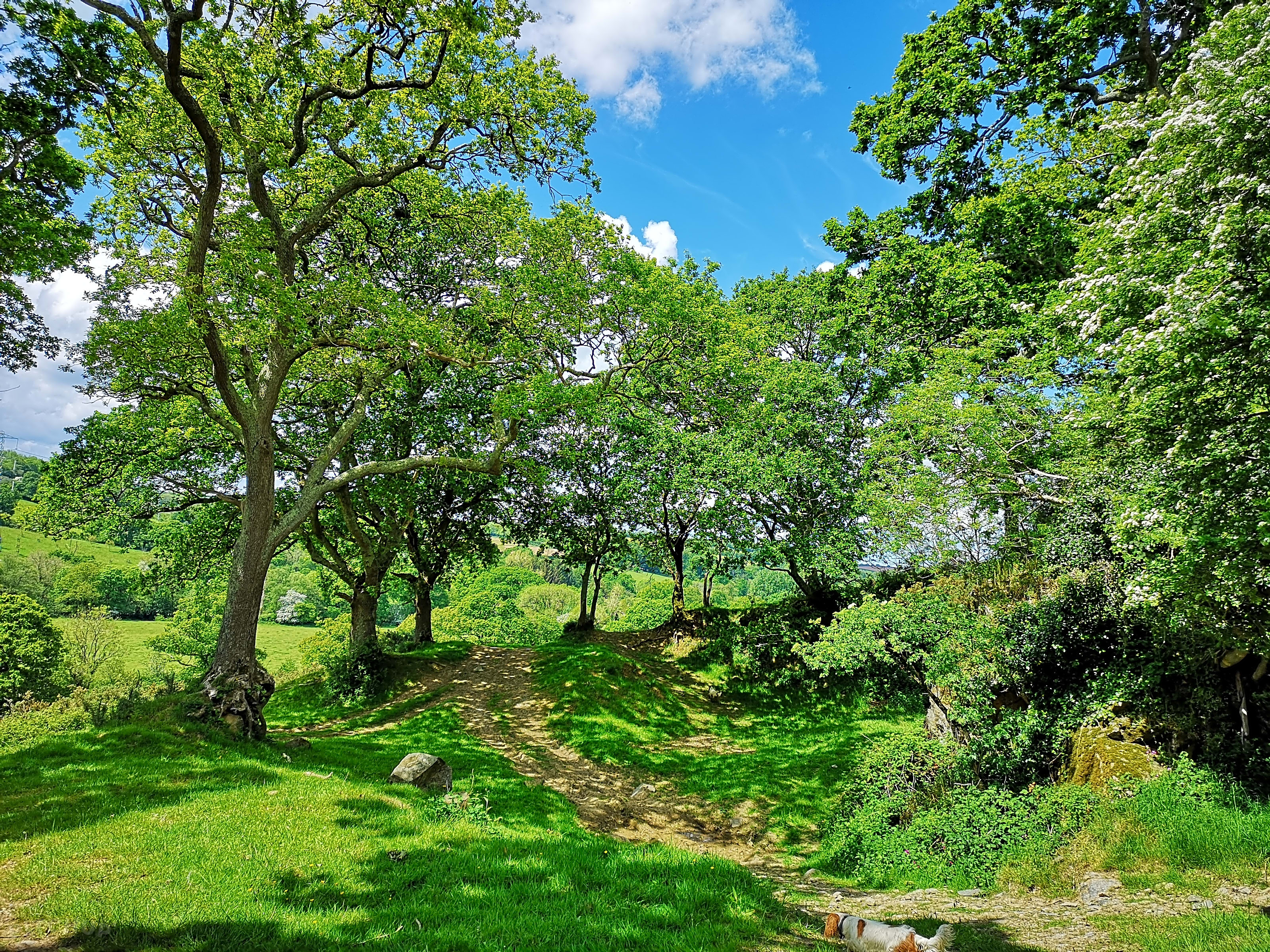 Bush Farm Wild Camping, Saltash - Updated 2020 prices - Pitchup®