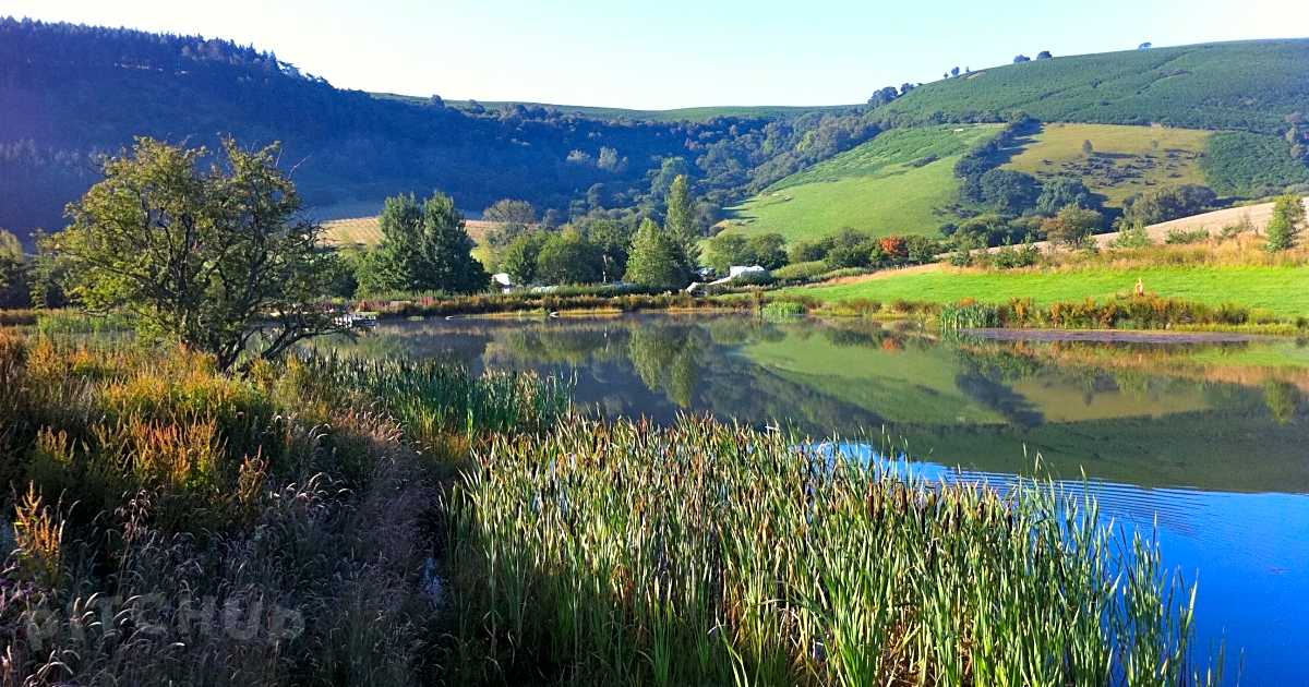 Fforest Fields Caravan and Camping Park, Builth Wells | Pitchup.com