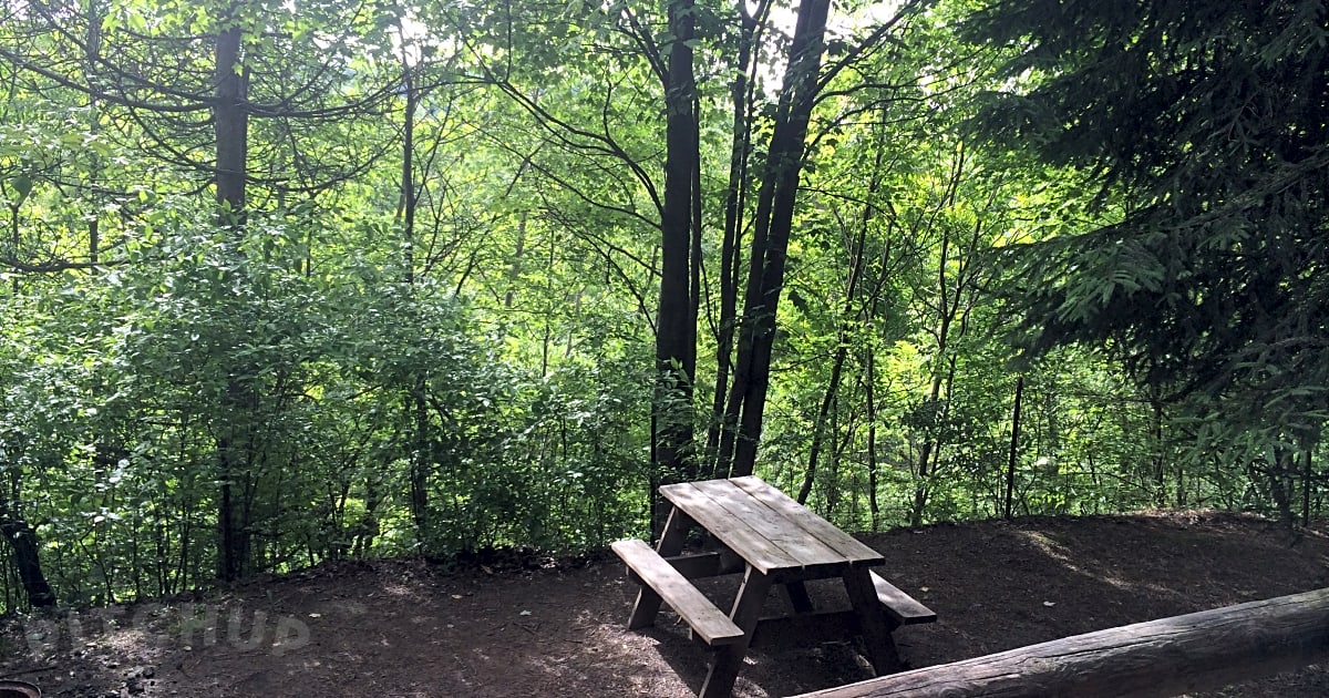 Bear Run Campground, Portersville - Pitchup®