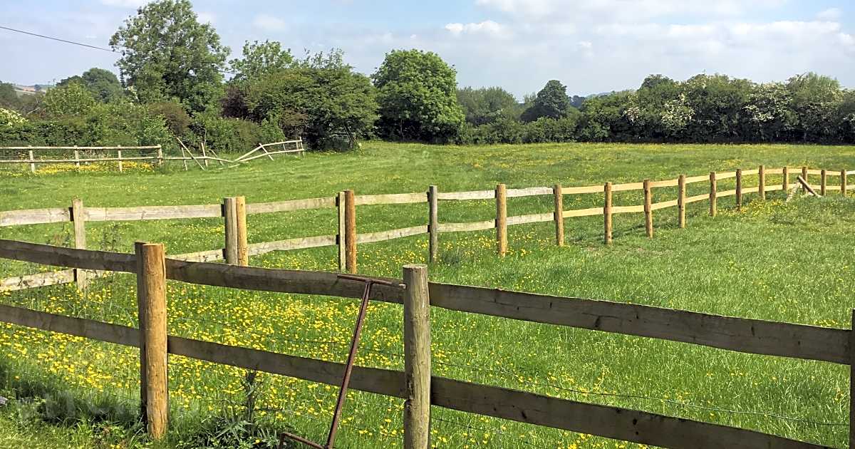 Lower Buckton, Ludlow | Pitchup.com