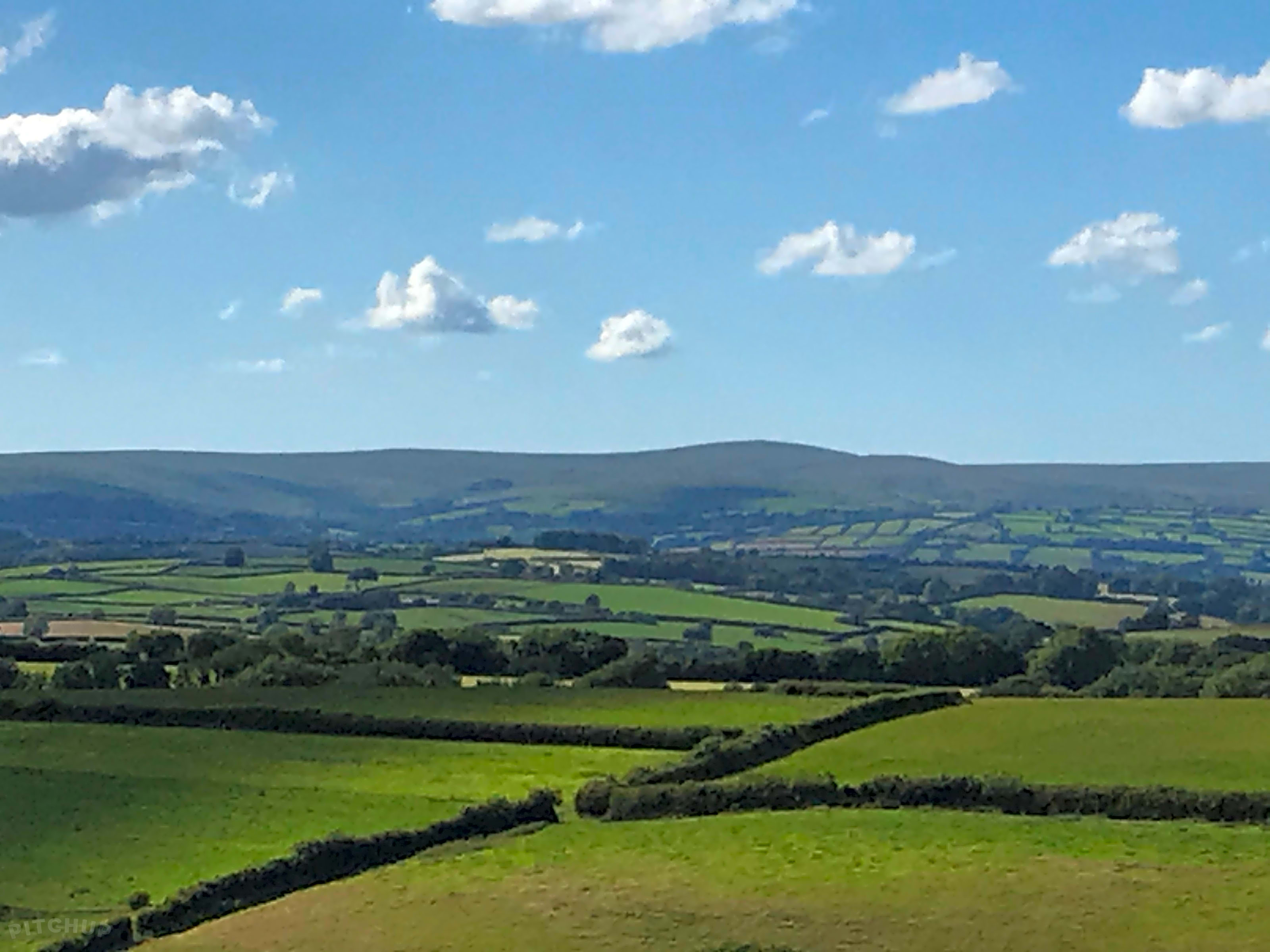 Wheeldon Farm, Halwell, Devon - Updated 2026 prices | Pitchup.com