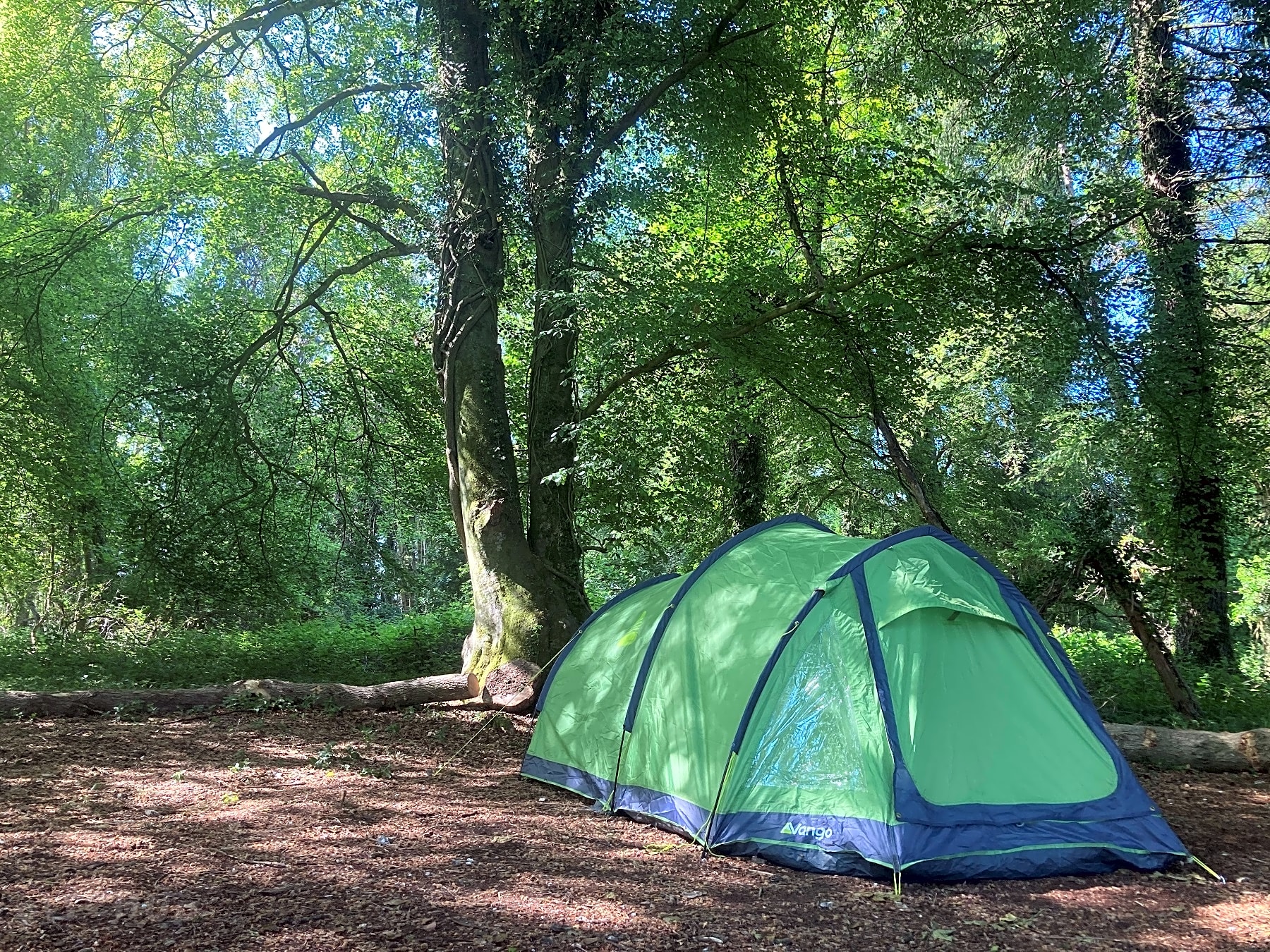 Hundred Acres Woodland Camping, Compton, West Sussex | Pitchup.com