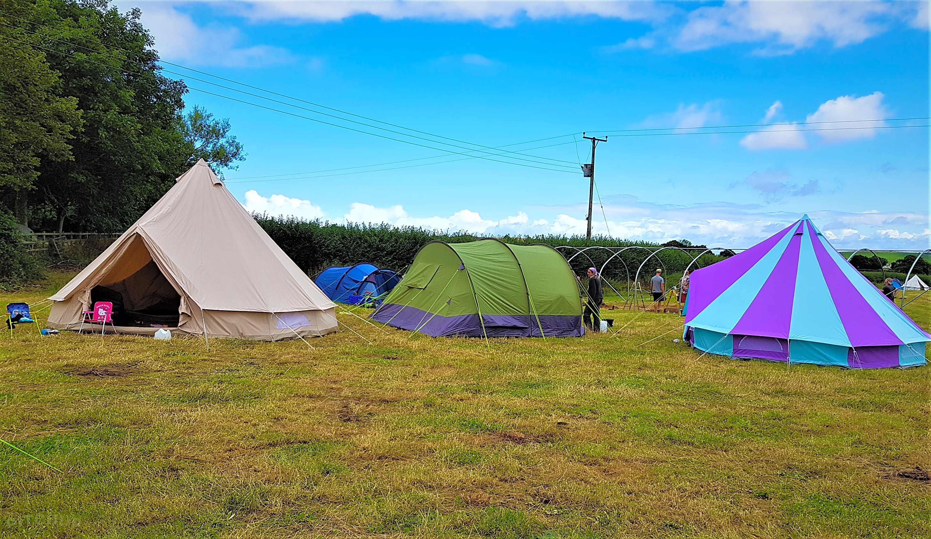 Splatt Farm Gardens, Bridgwater, Somerset | Pitchup.com