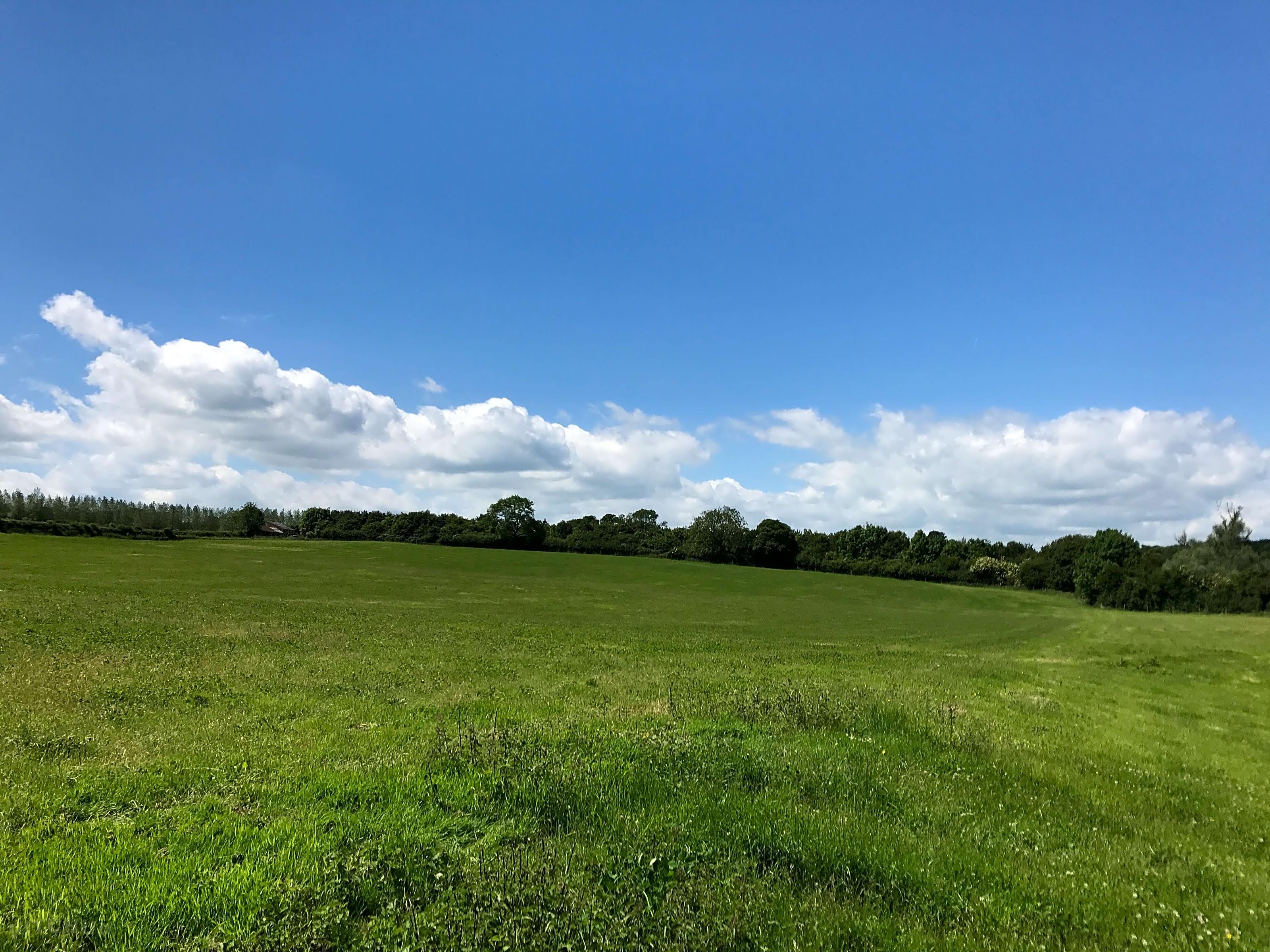 Cuckoo Farm Campsite, Oakham, Rutland - Updated 2026 prices | Pitchup.com