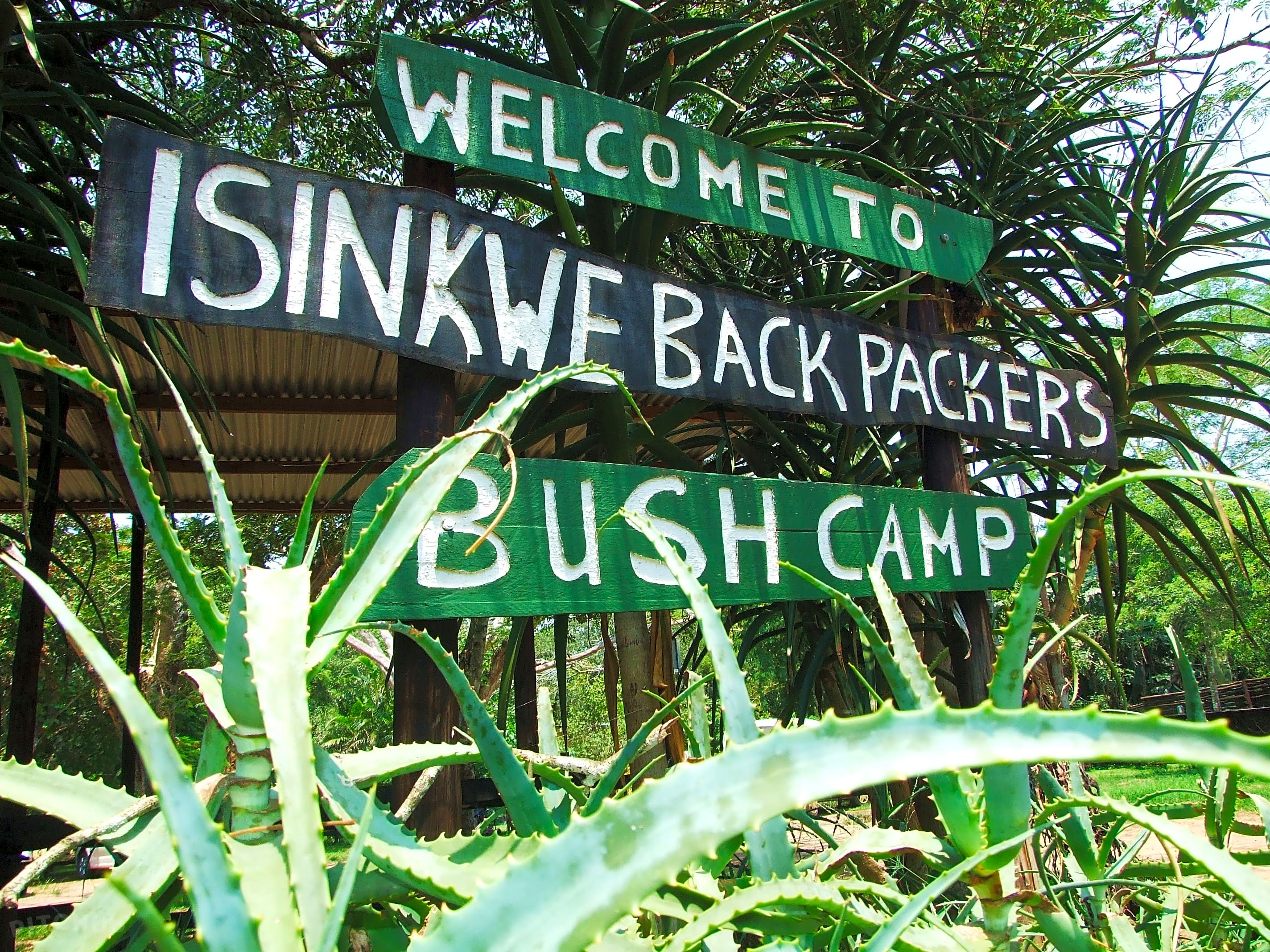Isinkwe Safaris Bush Camp, Hluhluwe, KwaZulu-Natal | Pitchup.com