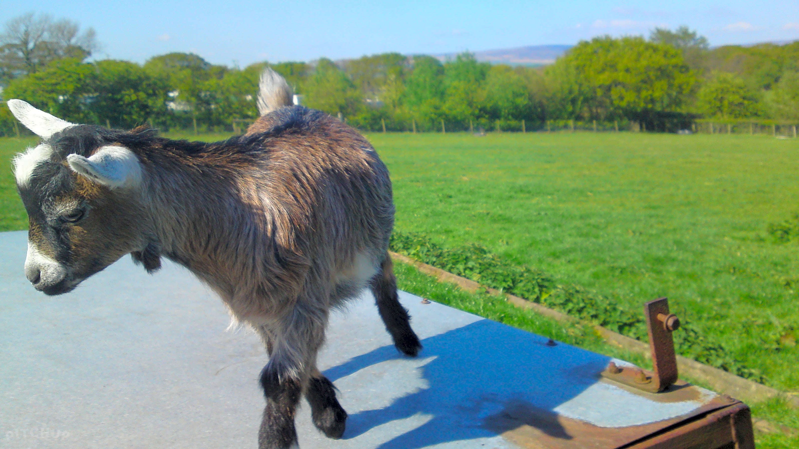 Fell View Park Camping and Caravan Site, Preston, Lancashire | Pitchup.com