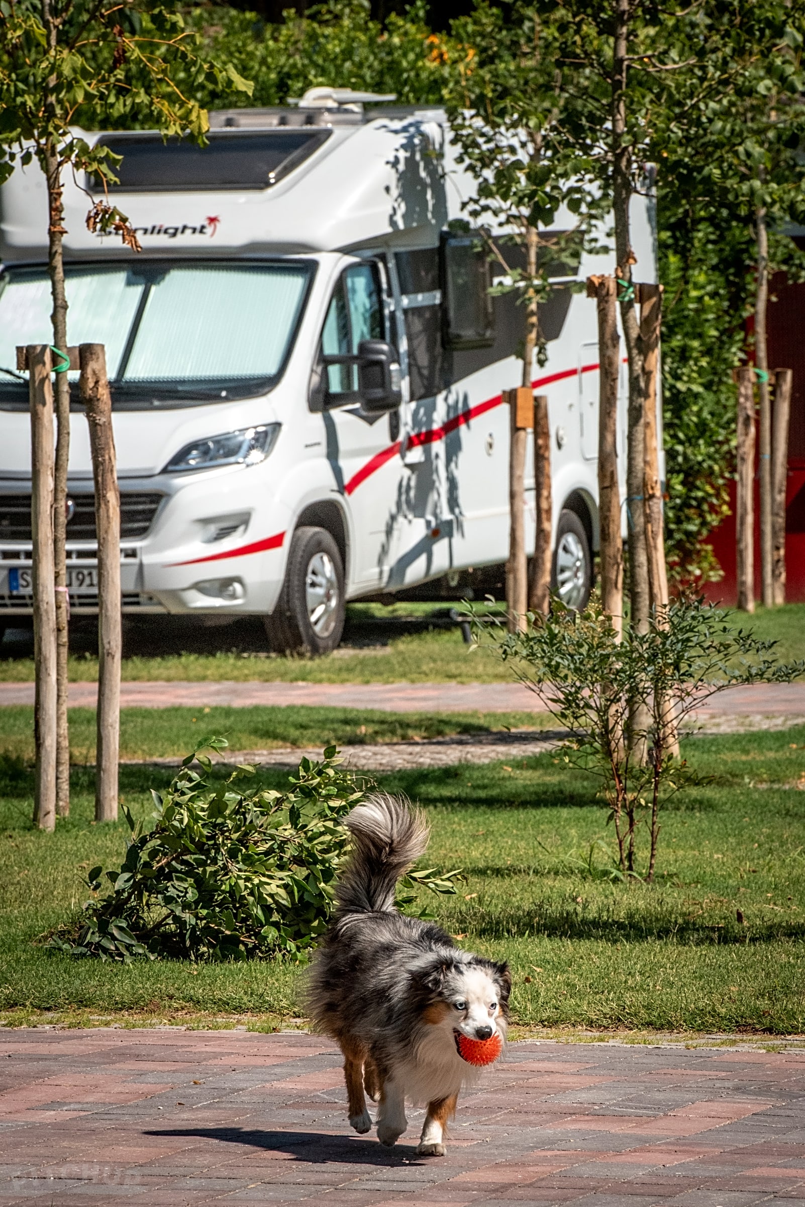 Village Flaminio, Rome, Lazio - Updated 2026 prices | Pitchup.com