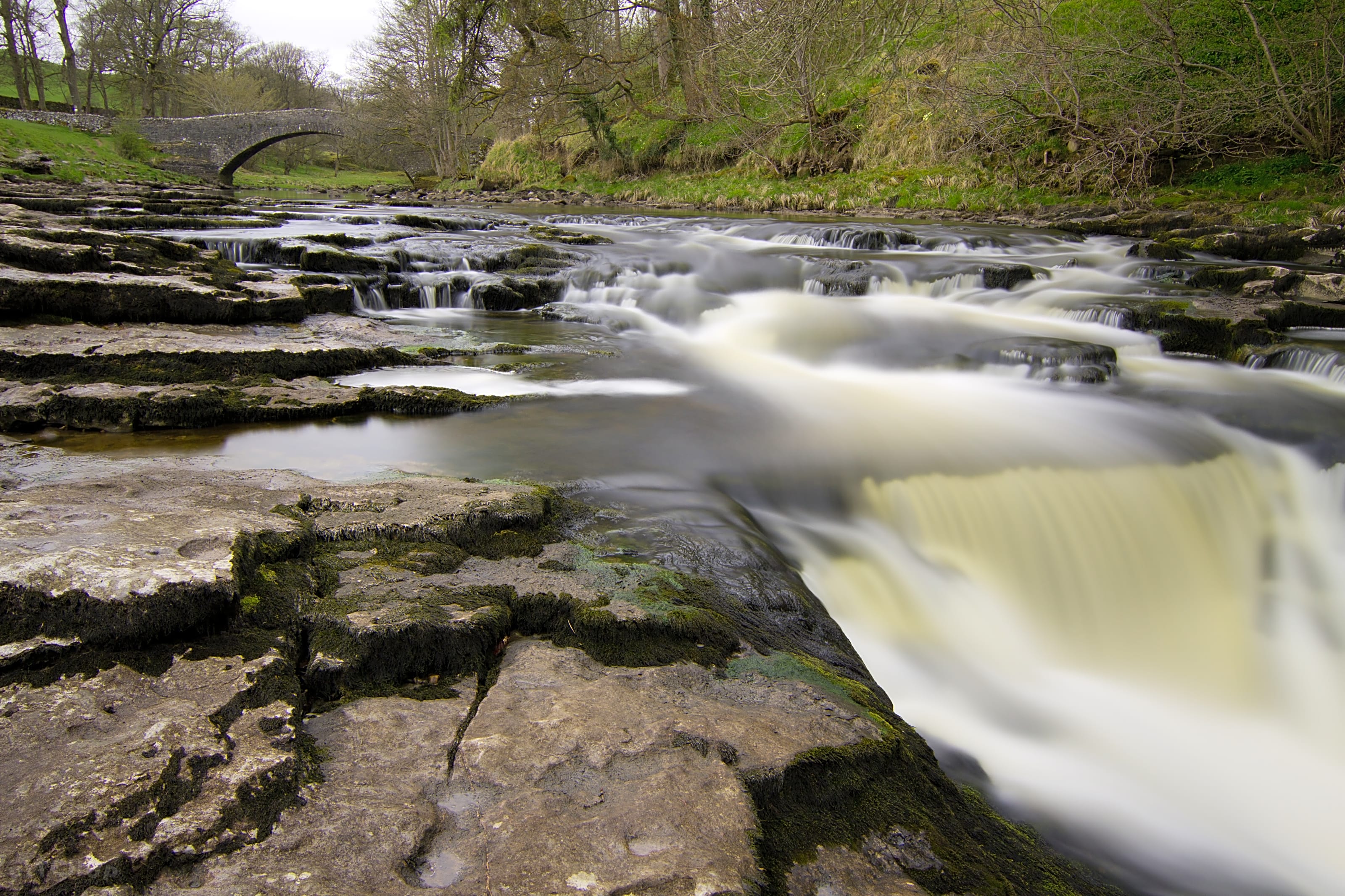 Knight Stainforth Caravan and Camping Park, Settle, North Yorkshire ...
